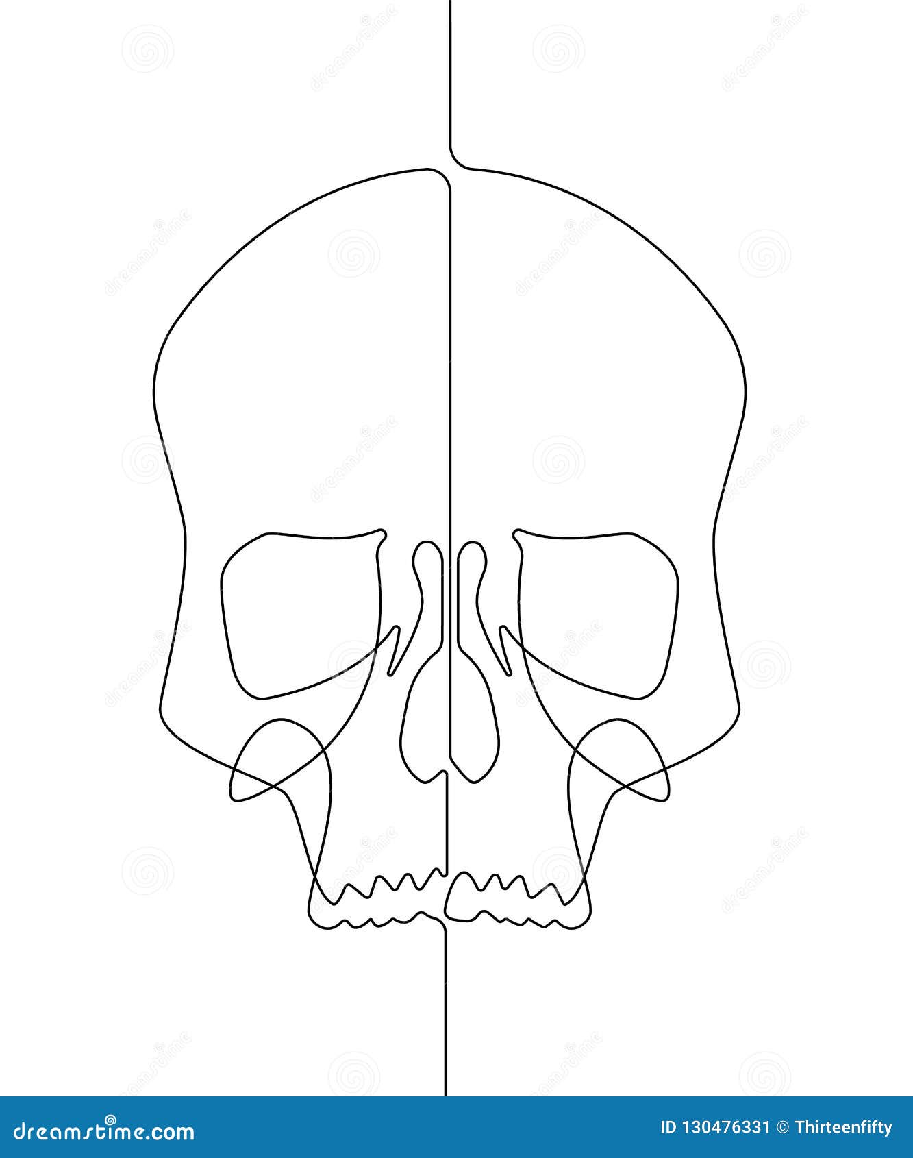 Human Skull Continuous Vector Line Art Illustration III Stock Vector ...