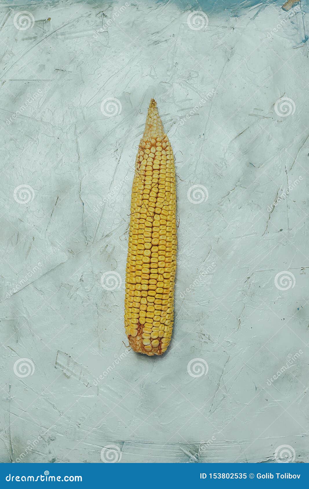 Single Corn on Bright Background Stock Image - Image of grain, kernels ...