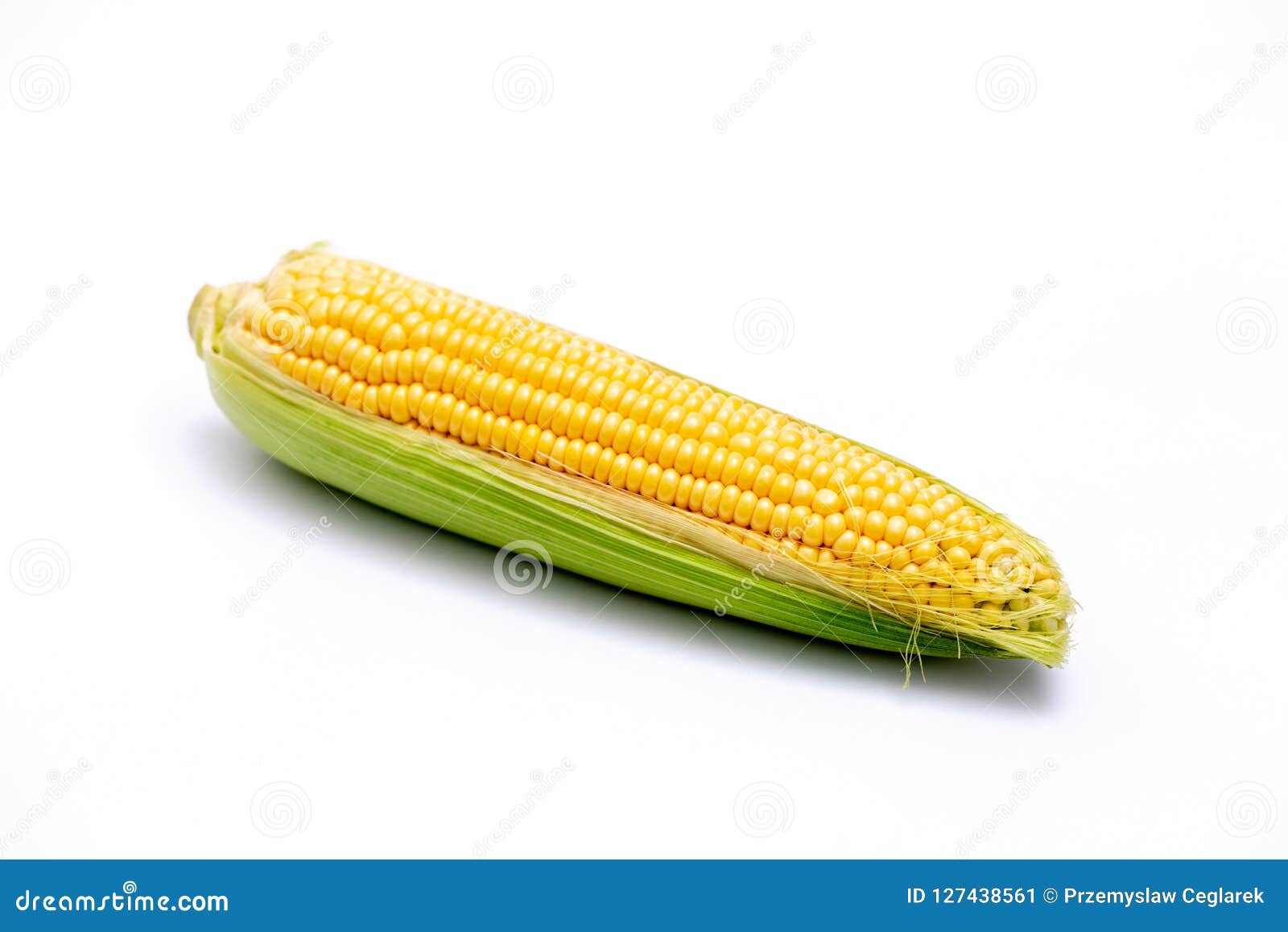 Single Corn Cob White Stock Images - Download 1,412 Royalty Free Photos