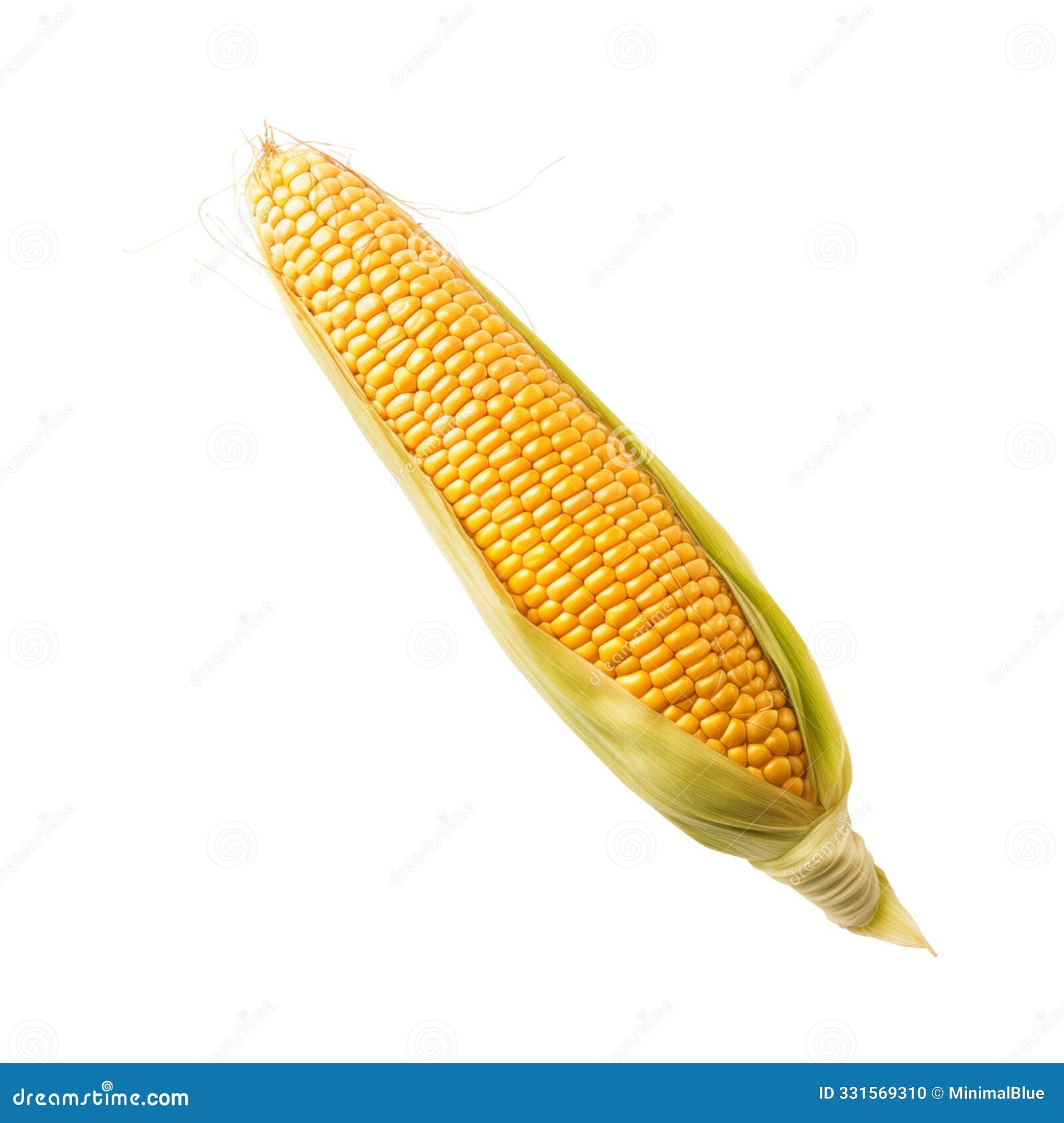 Single Corn Isolated on White Background Stock Illustration ...
