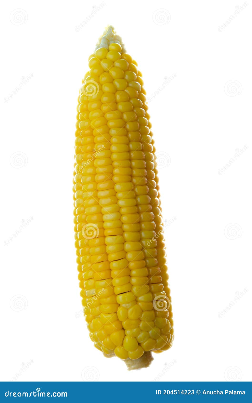 Single of Corn Isolated on White Background As Package Design Element ...