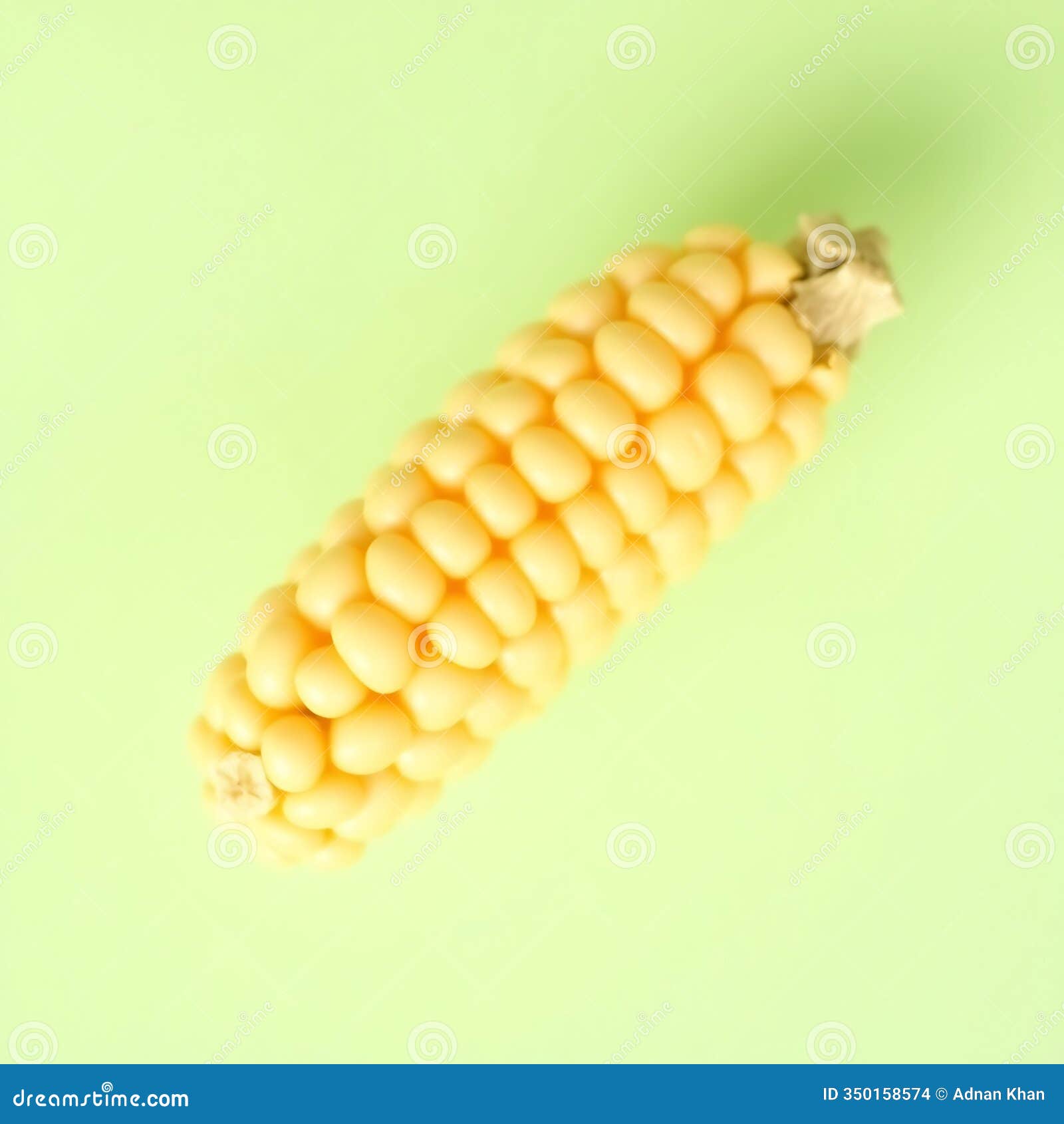 A Single Corn Kernel Close Up Showing Intricate Texture on a Pastel ...