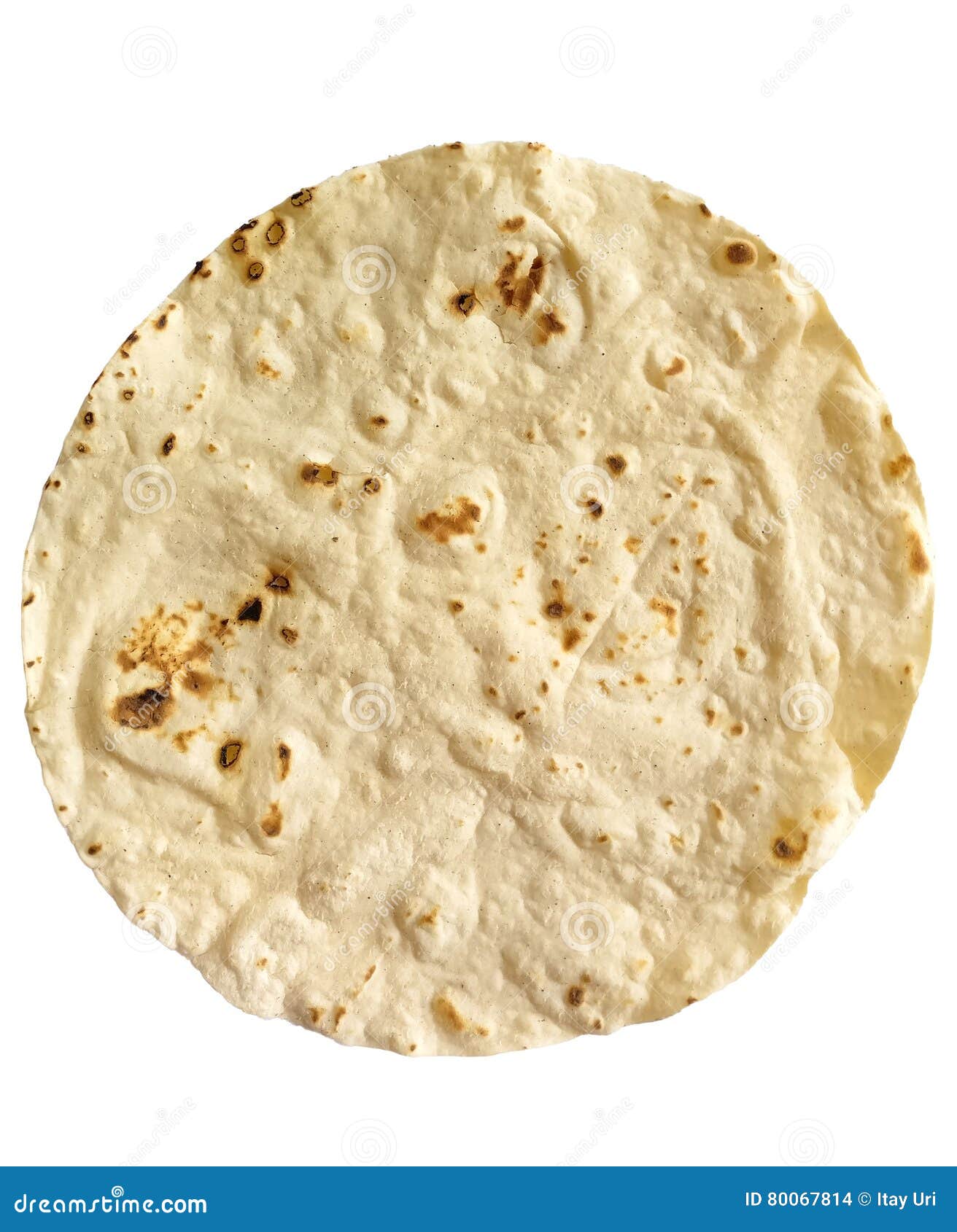 Single corn tortilla stock photo. Image of flat, background - 80067814