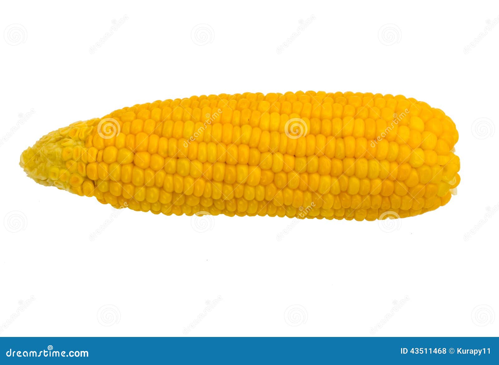 Single Corn Isolated On White Background As Package Design Royalty-Free ...