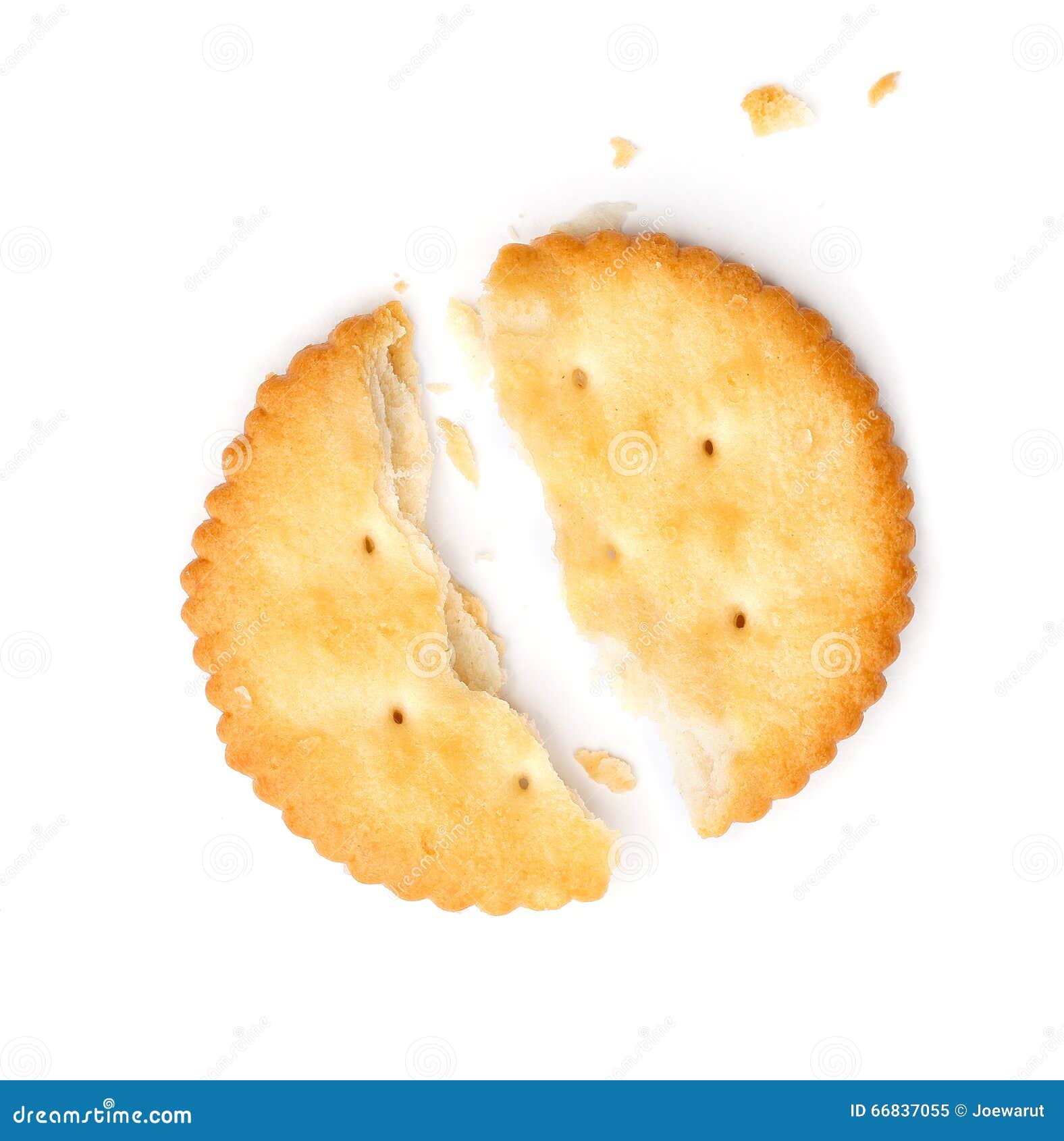 Single crack biscuit stock image. Image of delicious - 66837055