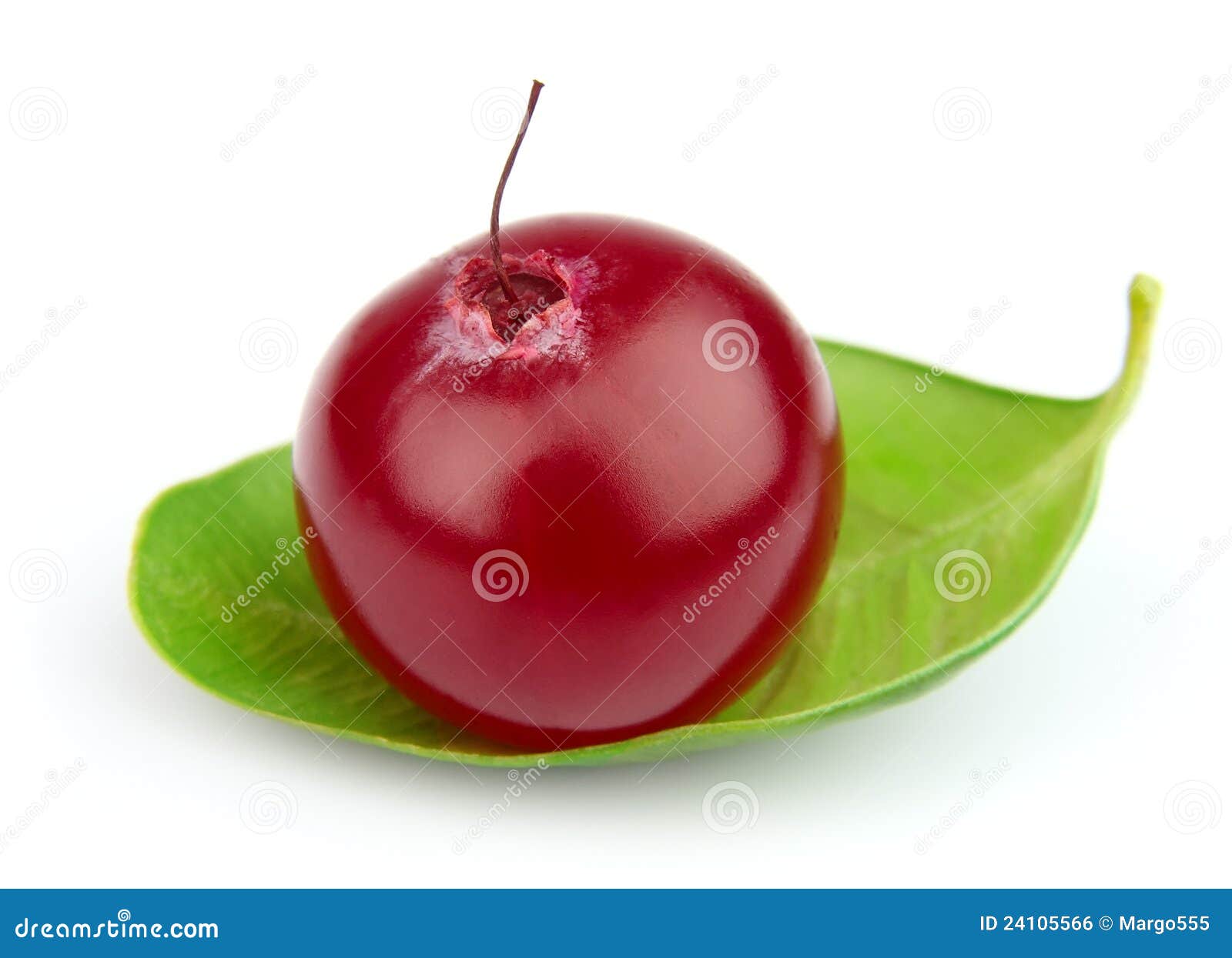 1,423 Single Cranberry Photos - Free & Royalty-Free Stock Photos from ...