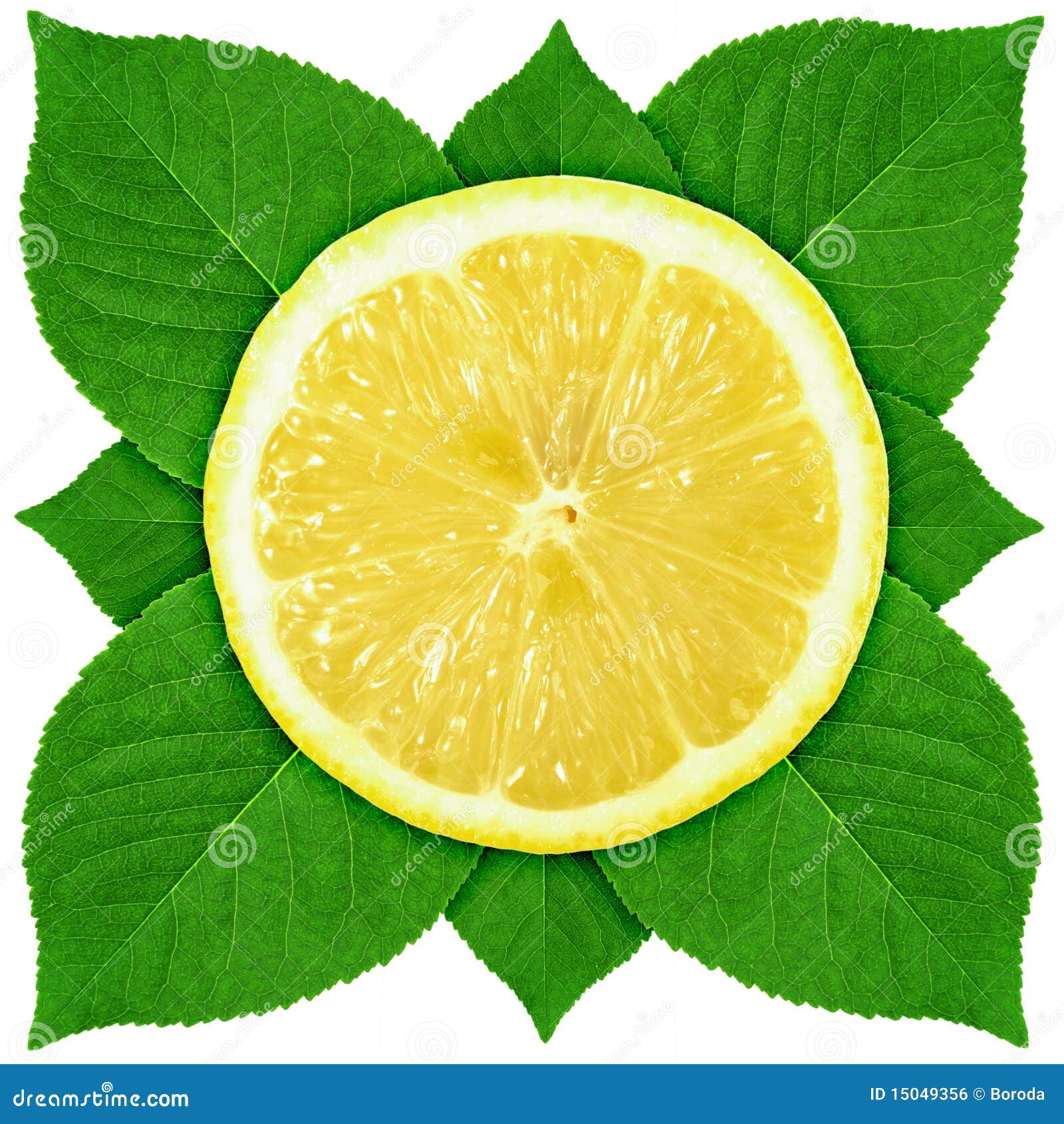 Single Cross Section of Lemon with Green Leaf Stock Photo - Image of ...