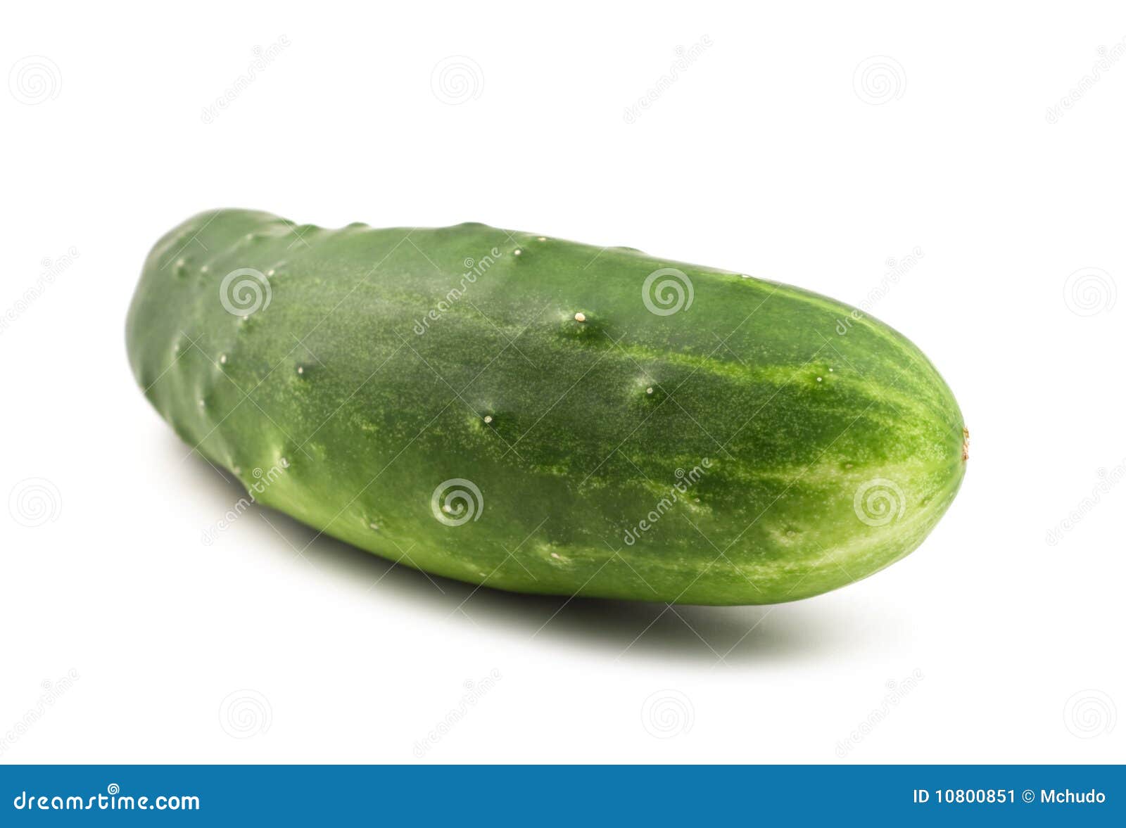 Single cucumber stock image. Image of fresh, white, vegetable - 10800851