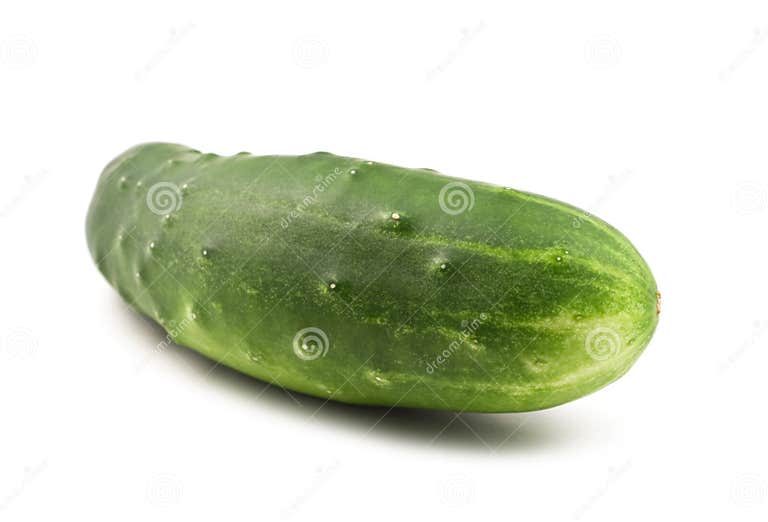 Single cucumber stock image. Image of fresh, white, vegetable - 10800851