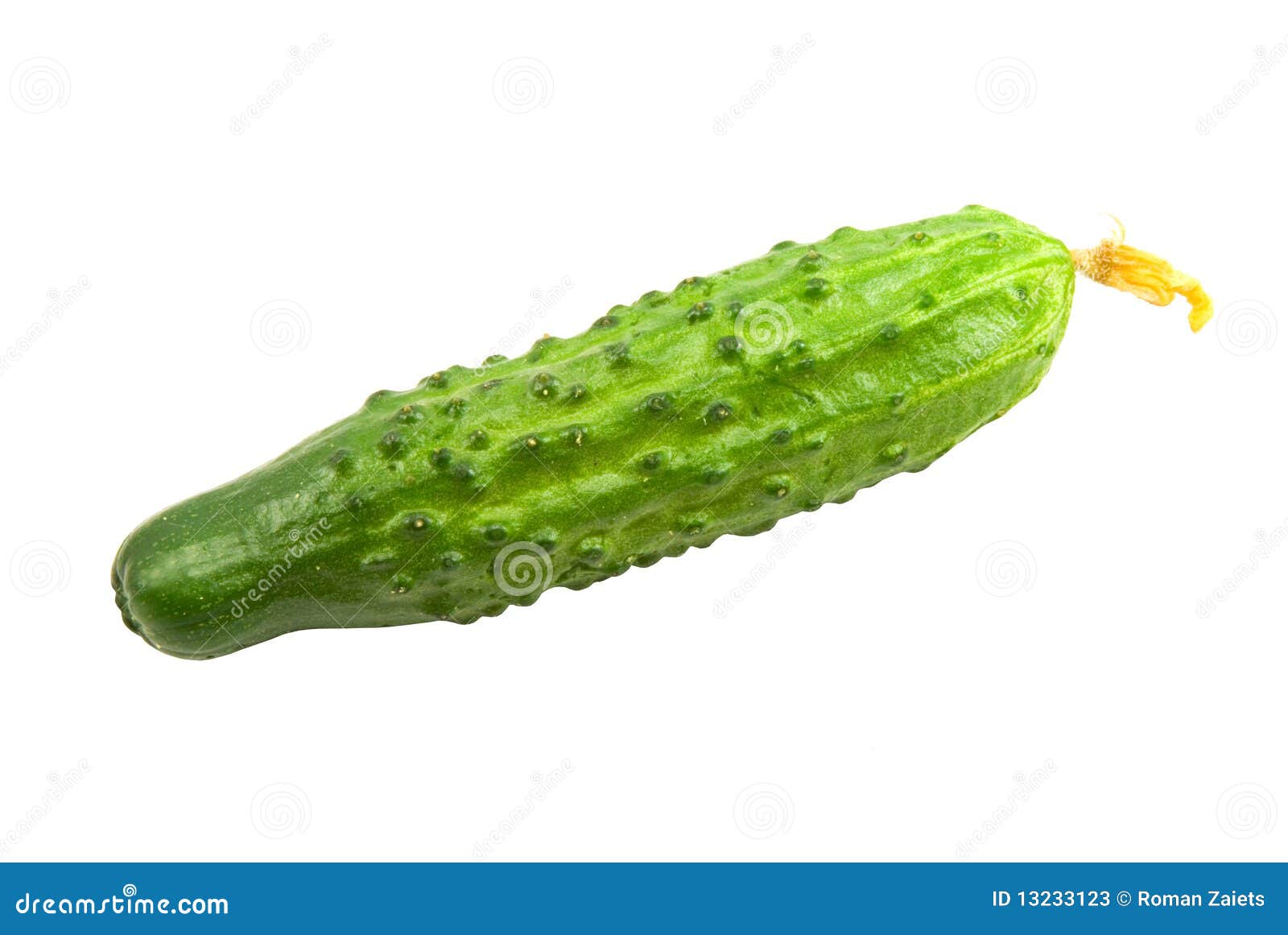 Single cucumber stock image. Image of healthy, ingredient - 13233123