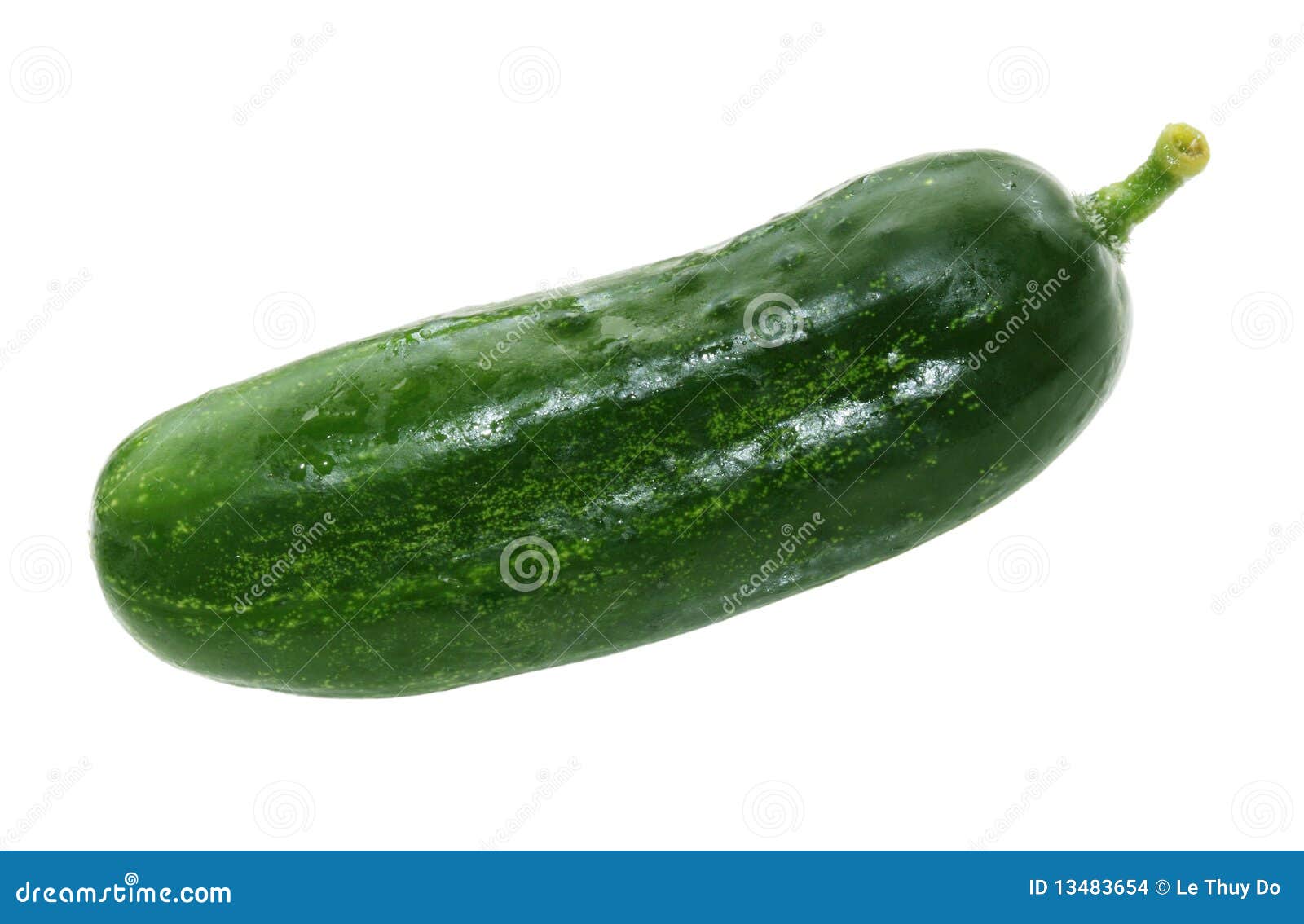 Single cucumber stock photo. Image of nature, agriculture - 13483654