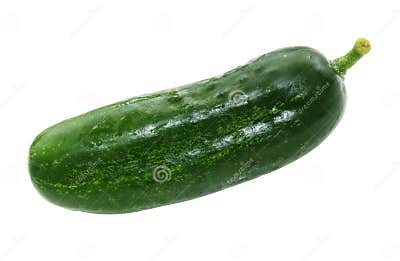 Single cucumber stock photo. Image of nature, agriculture - 13483654