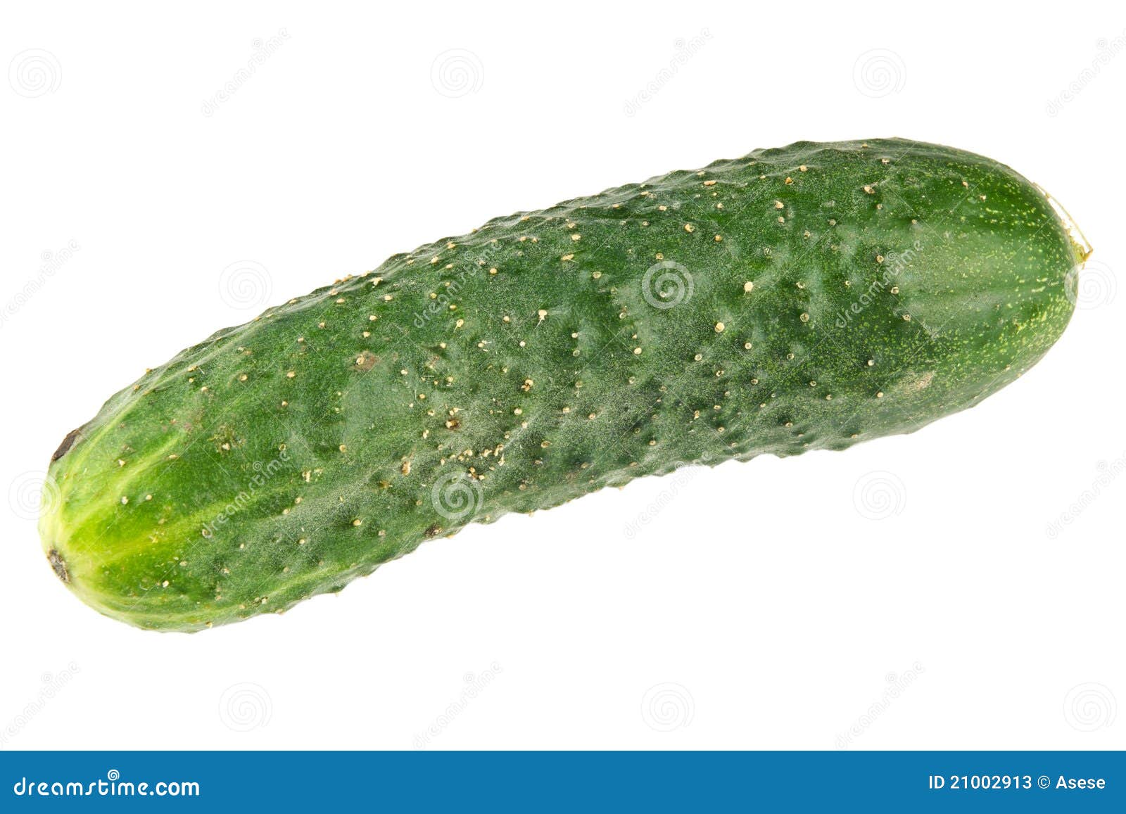Single Cucumber Stock Photos - Image: 21002913