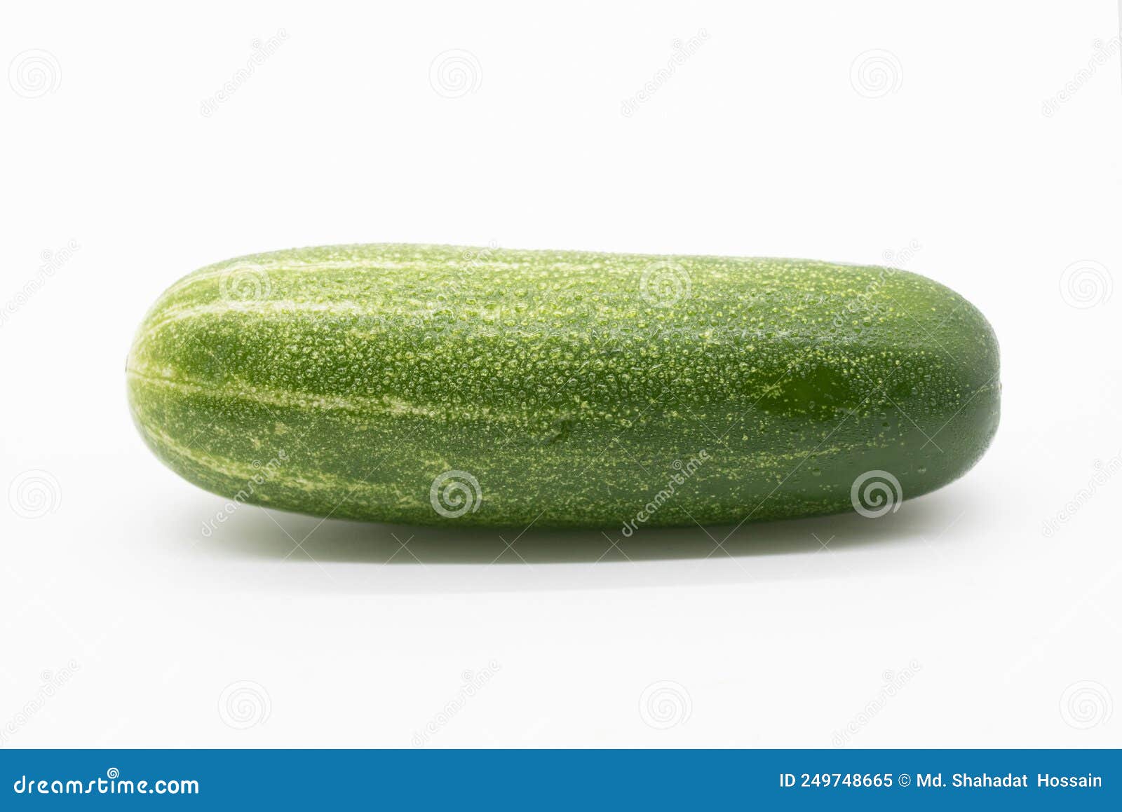 Single Cucumber Close Up Isolated on White Background Stock Image ...