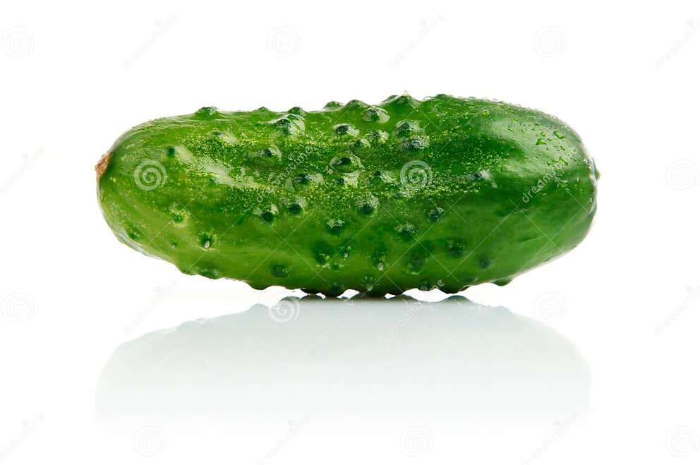 Single Cucumber Fruit Isolated on White Stock Image - Image of fresh ...