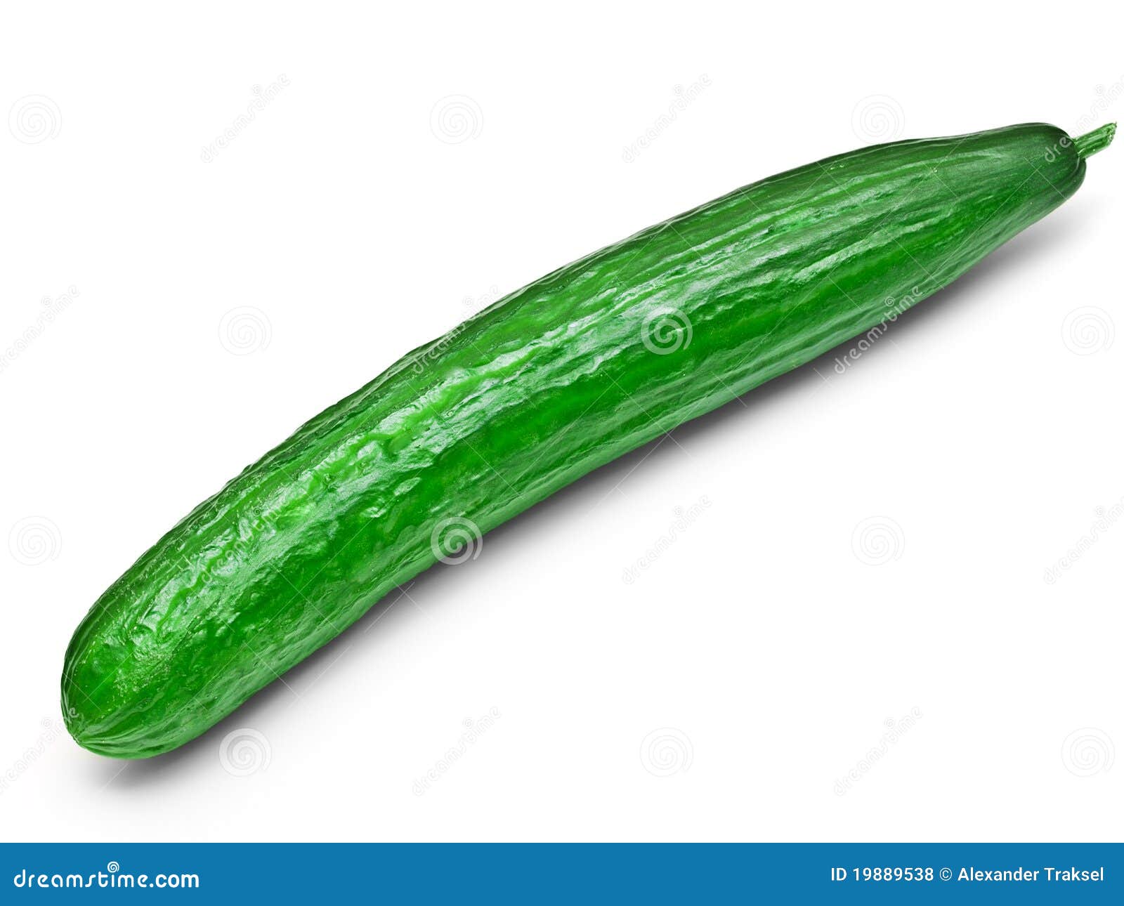Single Cucumber Isolated on White Background Stock Photo - Image of ...