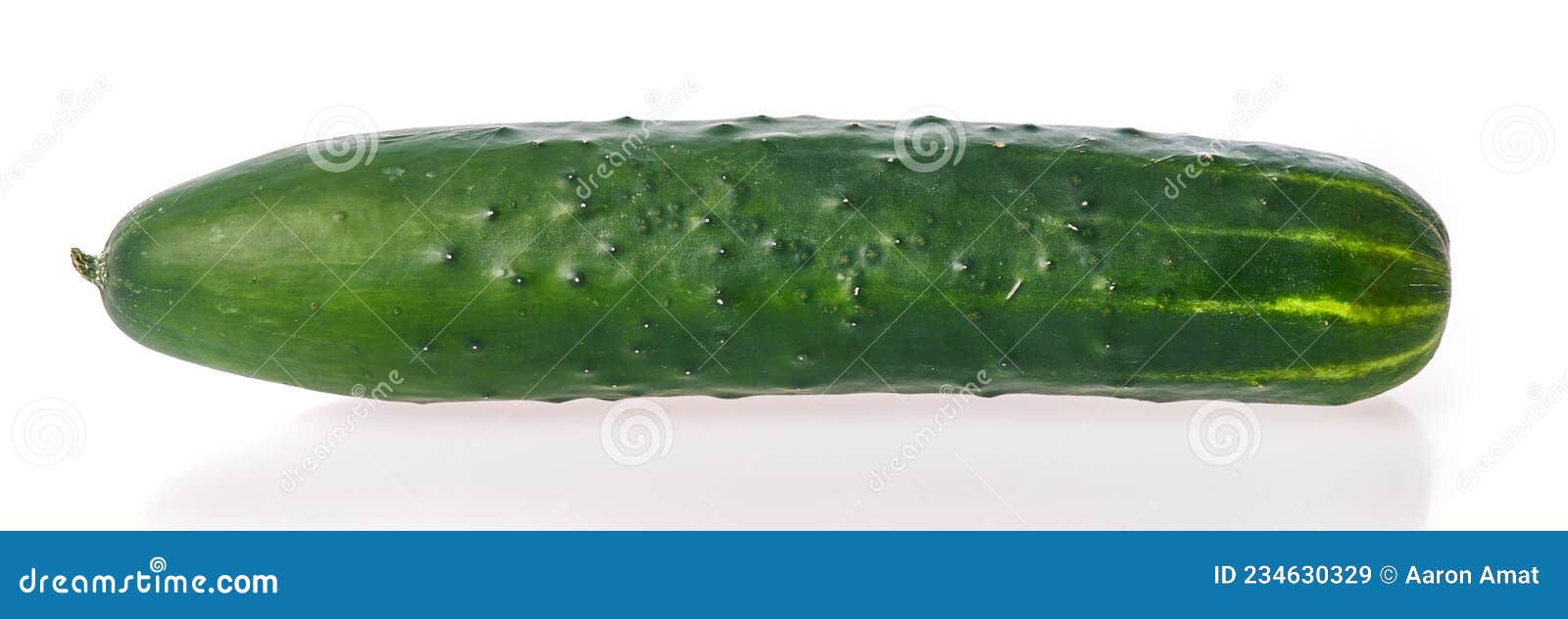 Single Cucumber Isolated on a White Background Stock Image - Image of ...