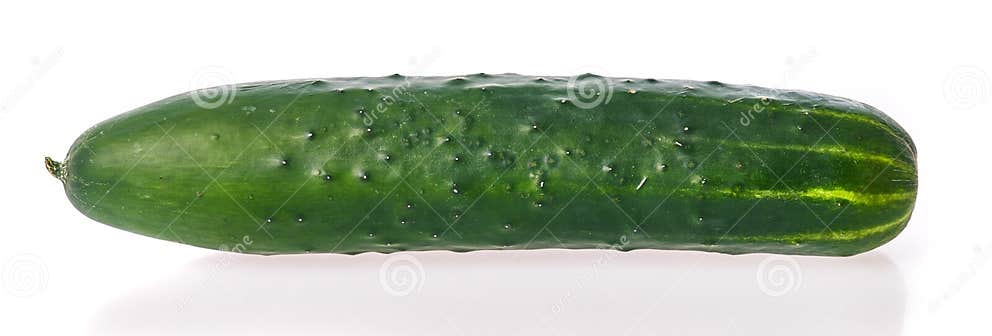 Single Cucumber Isolated on a White Background Stock Image - Image of ...