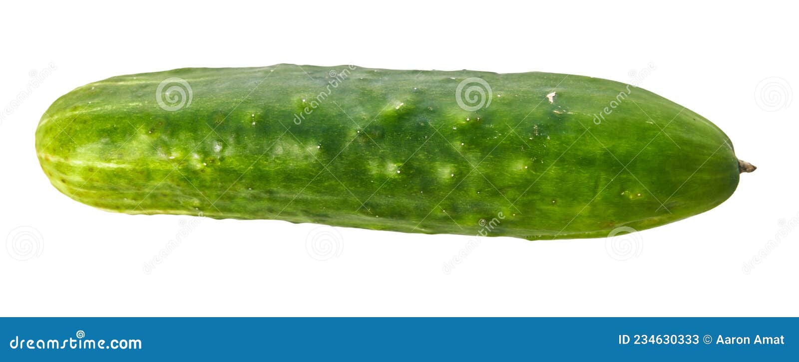 Single Cucumber Isolated on a White Background Stock Image - Image of ...