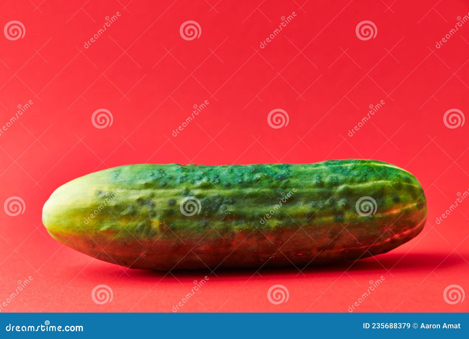 Single Cucumber on a Red Background Stock Image - Image of single ...