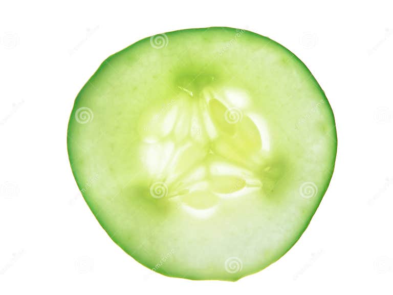 Single Cucumber Slice, Isolated Stock Image - Image of white, foods: 195789
