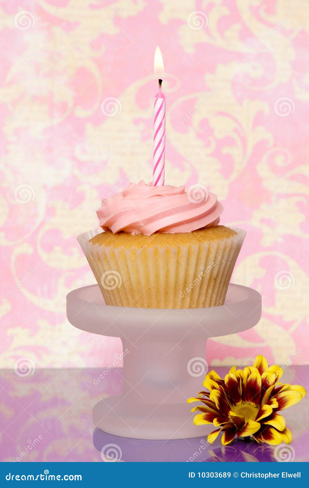 Single Cupcake stock image. Image of icing, fairy, muffin - 10303689