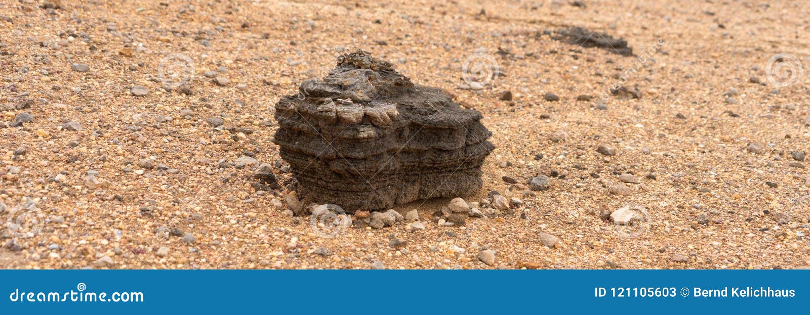 Single Dark Brown Lava Stone Stock Image - Image of erosion, rock ...