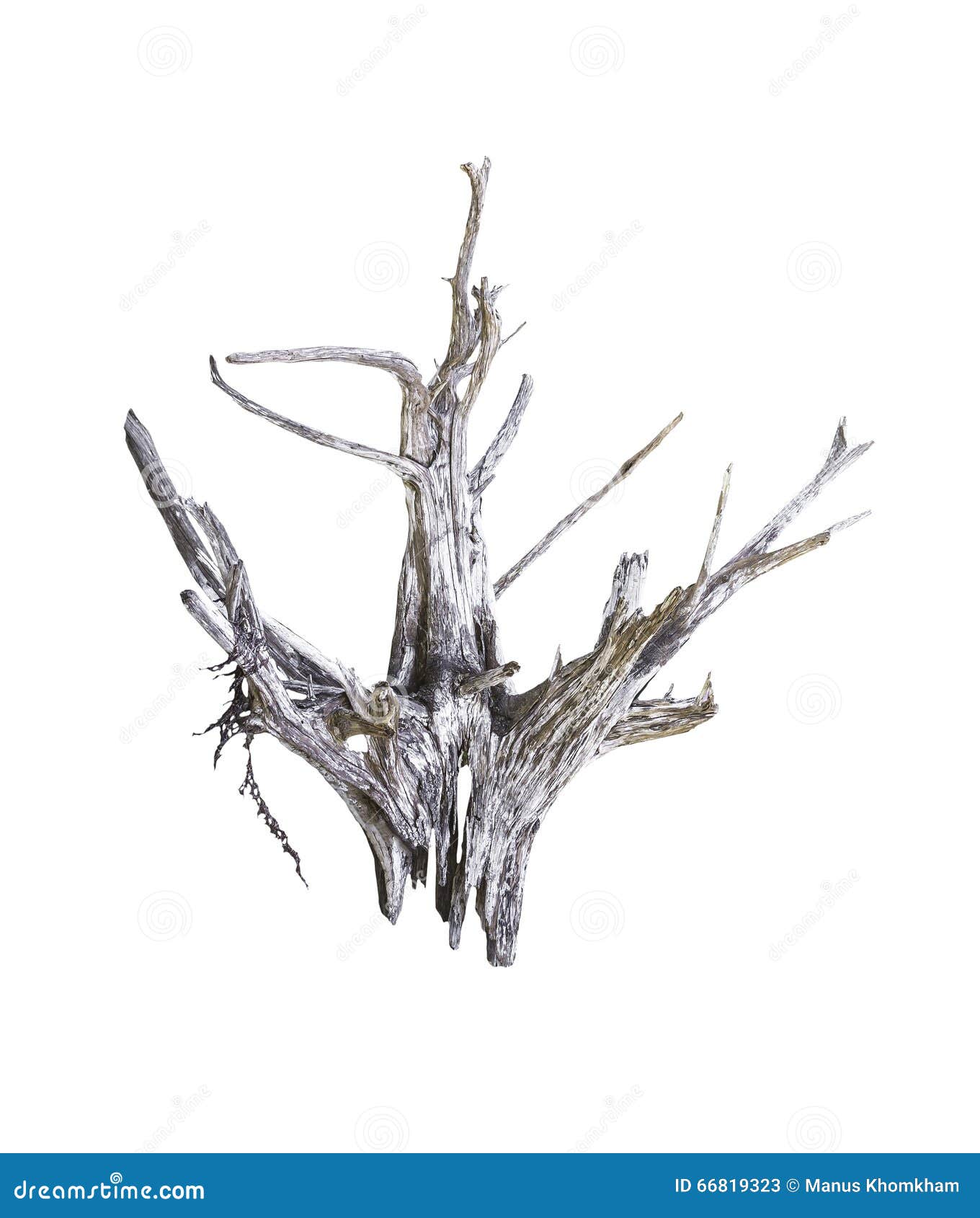 Single Dead Tree Standing In Empty Field With Electric Columns In ...