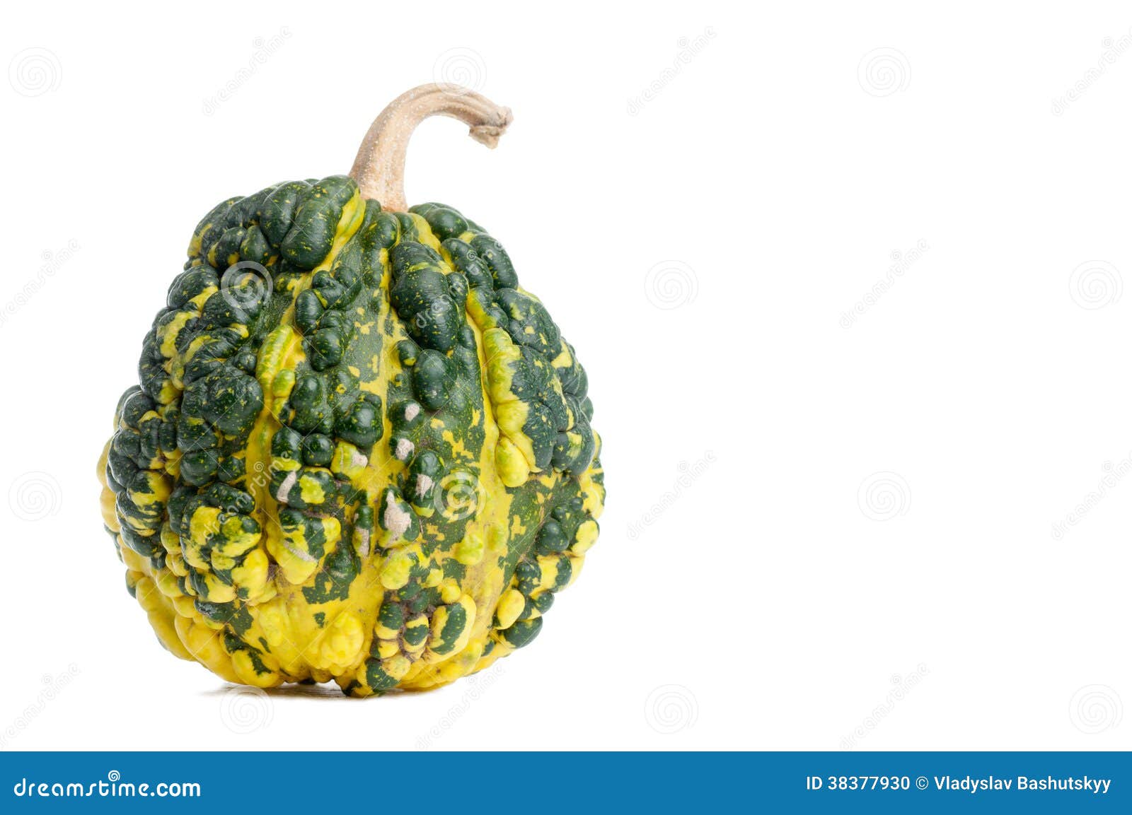 Single Decorative Exotic Pumpkins on White Stock Photo - Image of ...