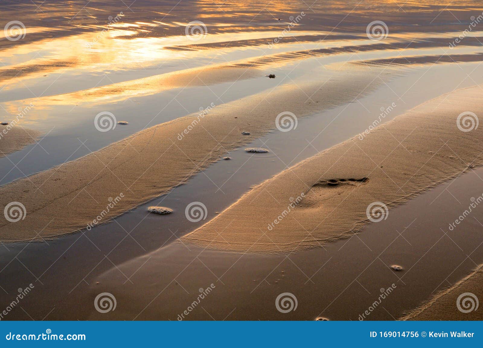 Footprint in the Sand Illuminated by the Off Camera Setting Sun Stock ...