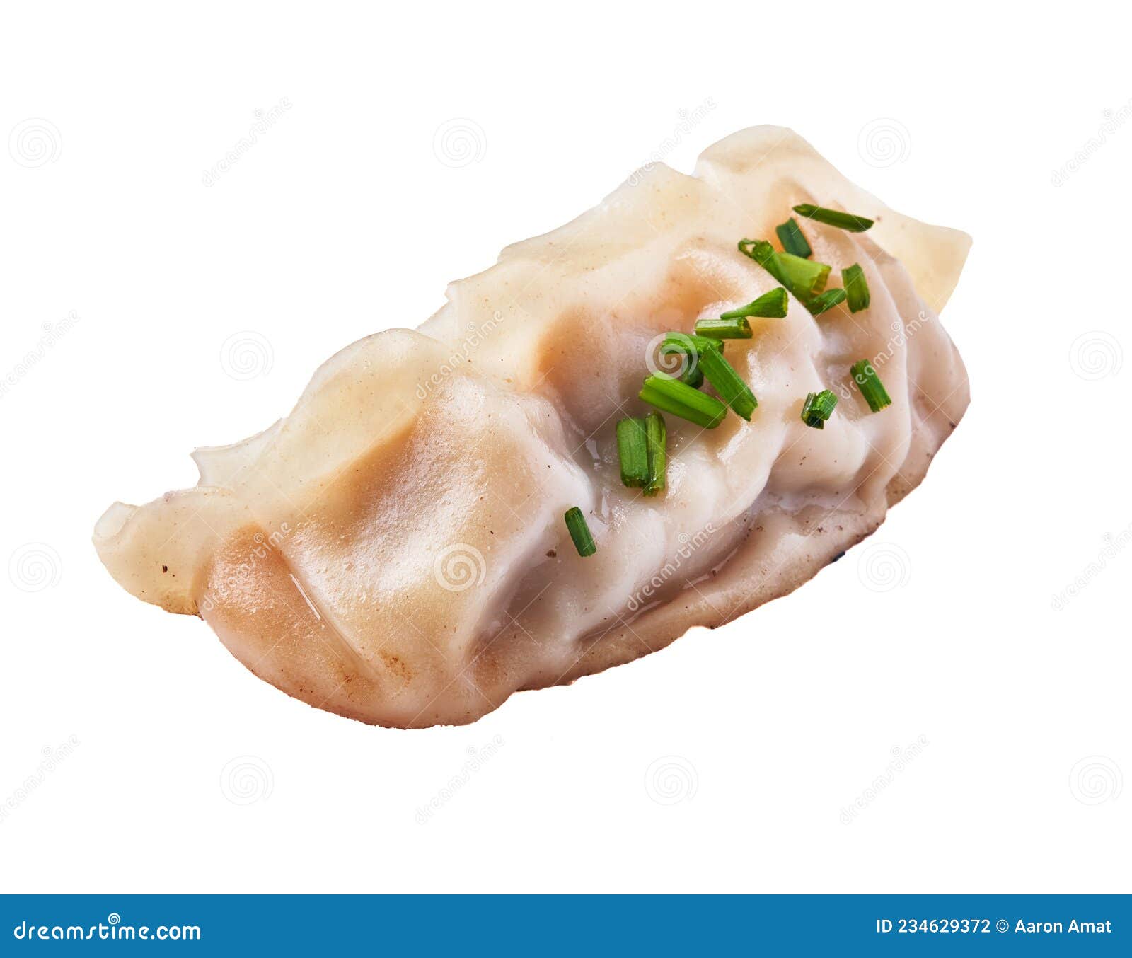 Single Gyoza Chinese Dumpling, Steamed Vegetable Jiaozi, Chicken Momo ...