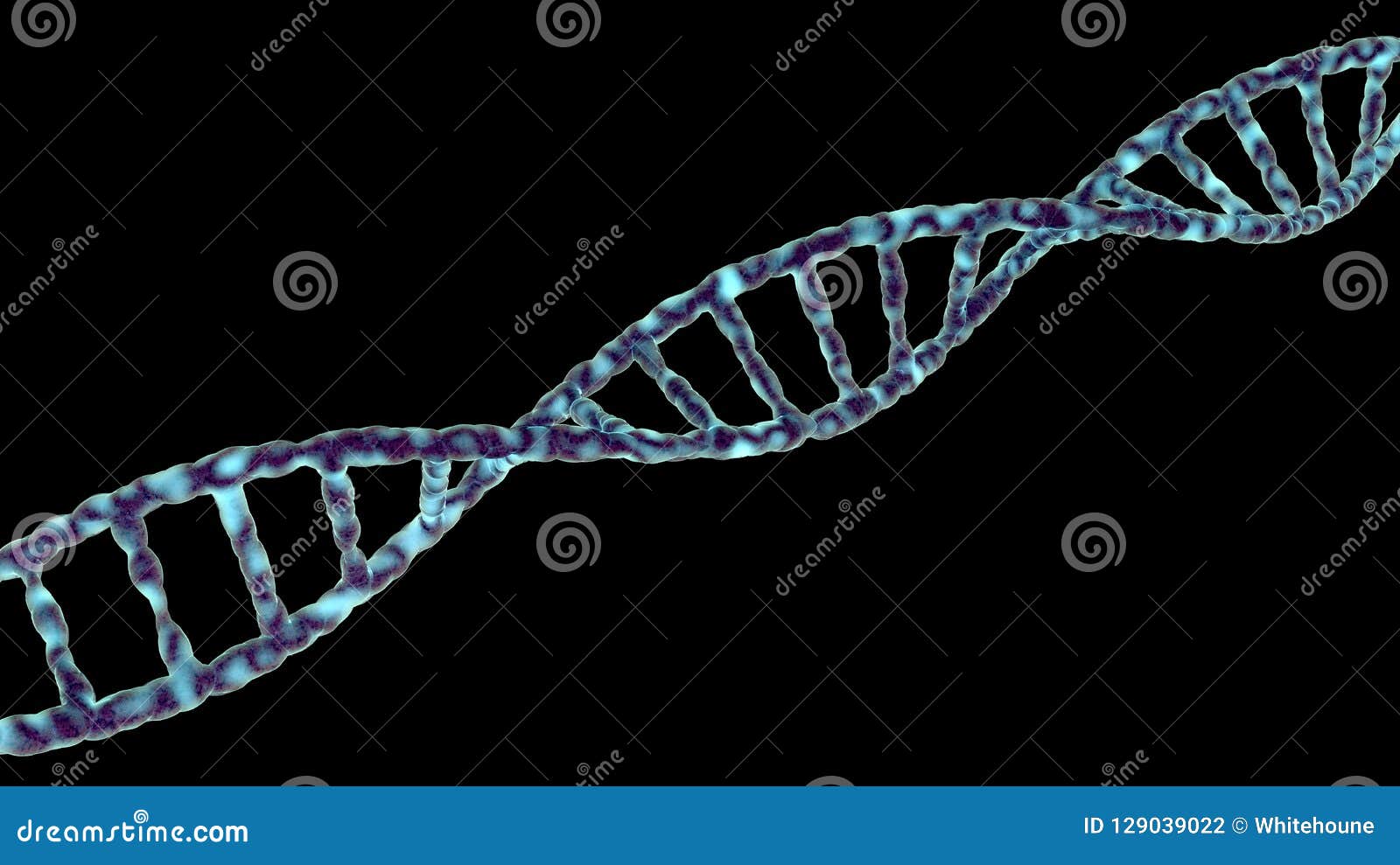 Single DNA Molecule Spiral Isolated on Black Stock Illustration ...