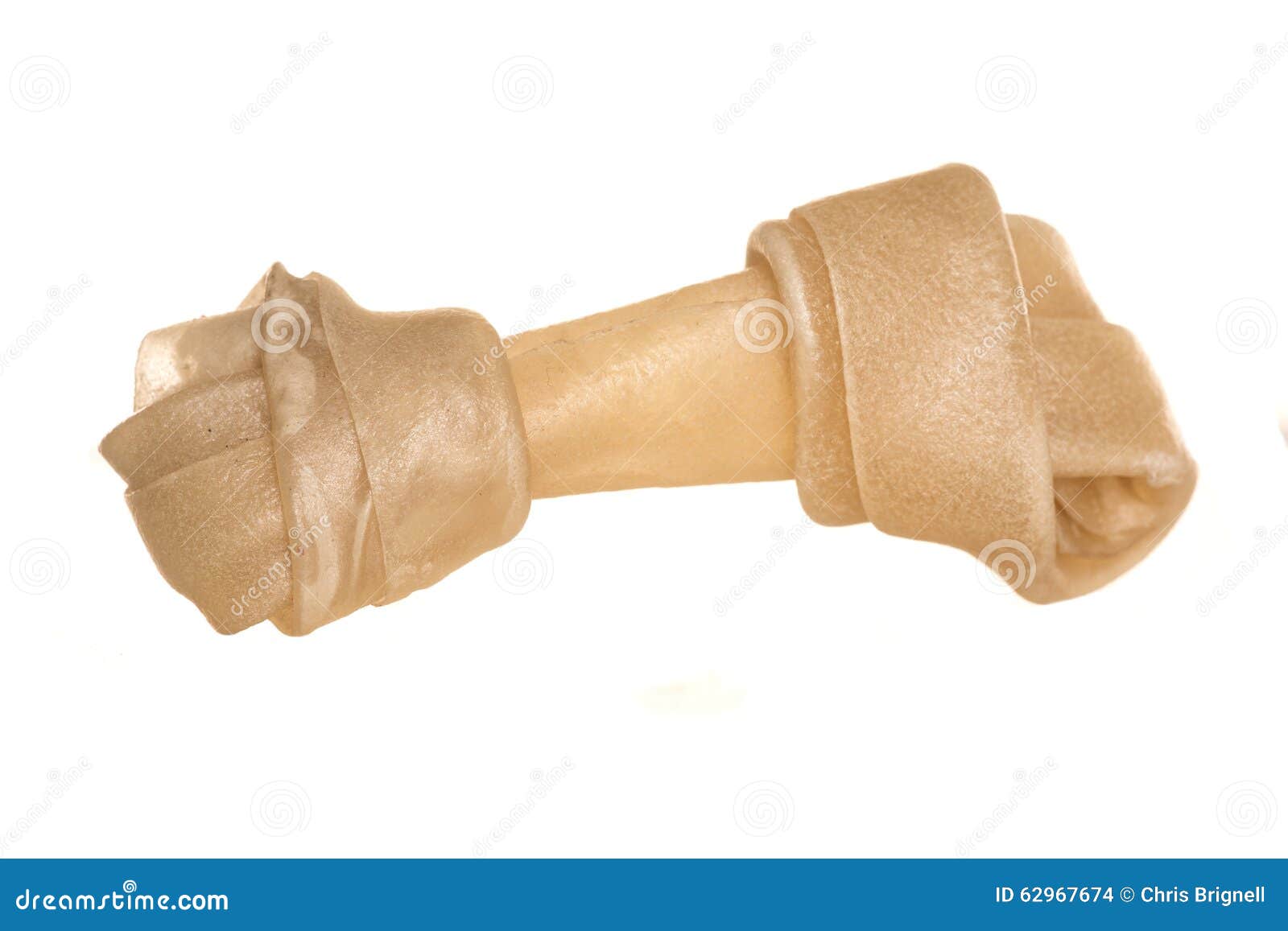Single dog bone studio stock photo. Image of cutout, white - 62967674
