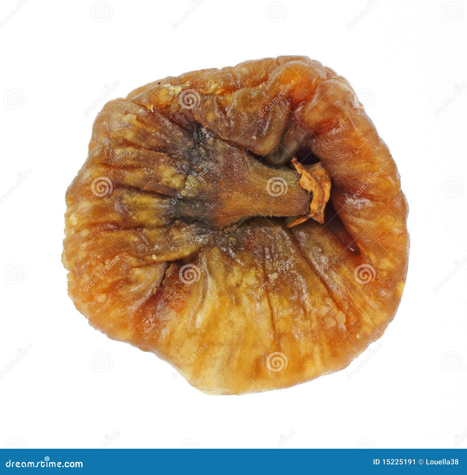 Single Dried Fig stock image. Image of edible, colorful - 15225191