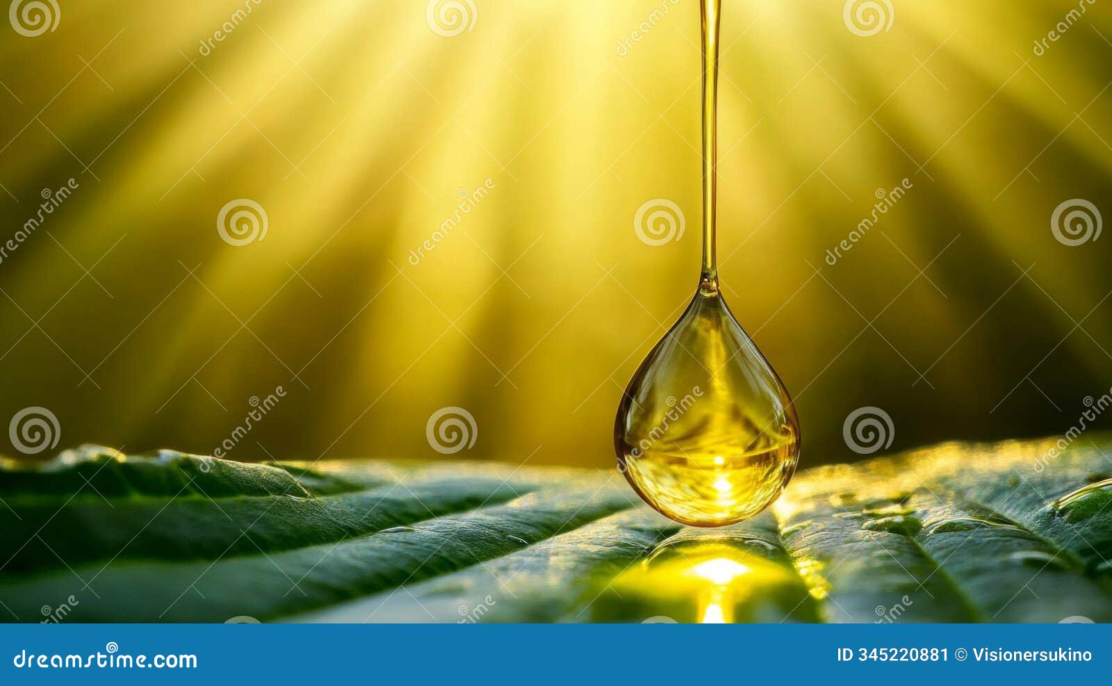 A Single Drop of Liquid on a Green Leaf in Sunlight Stock Illustration ...