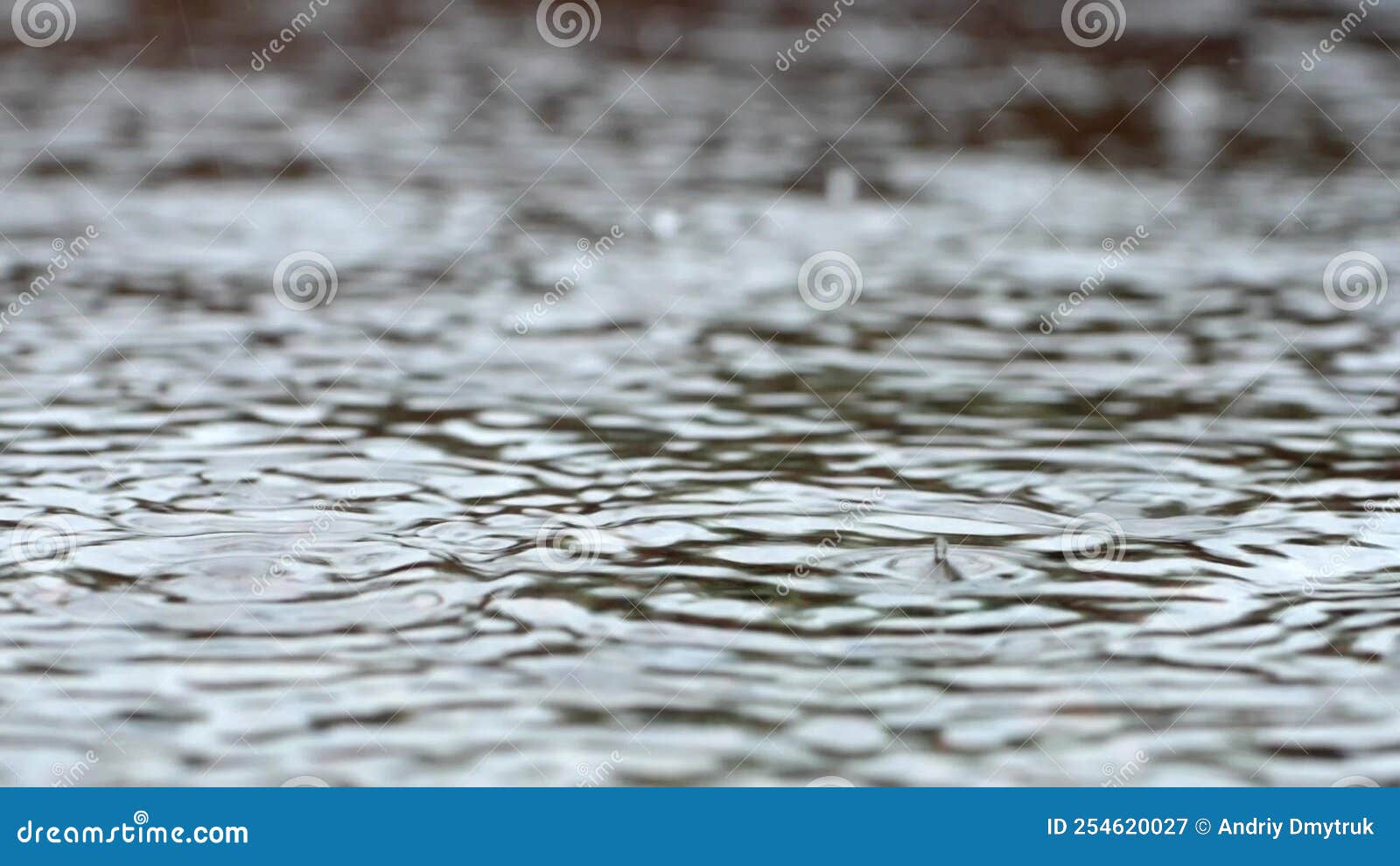 Single Drops of Slow Rain. Water Falling into a Puddle in Slow Motion ...