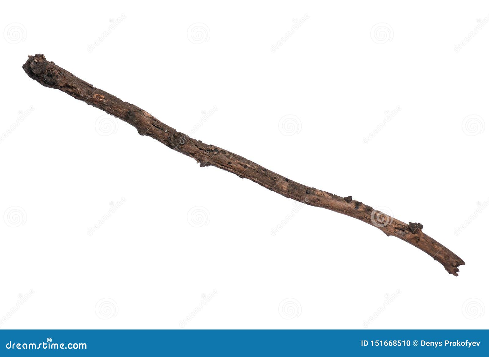 Dry tree branch on white stock photo. Image of element - 151668510 Dry tree branch on white stock photo. Image of element - 151668510