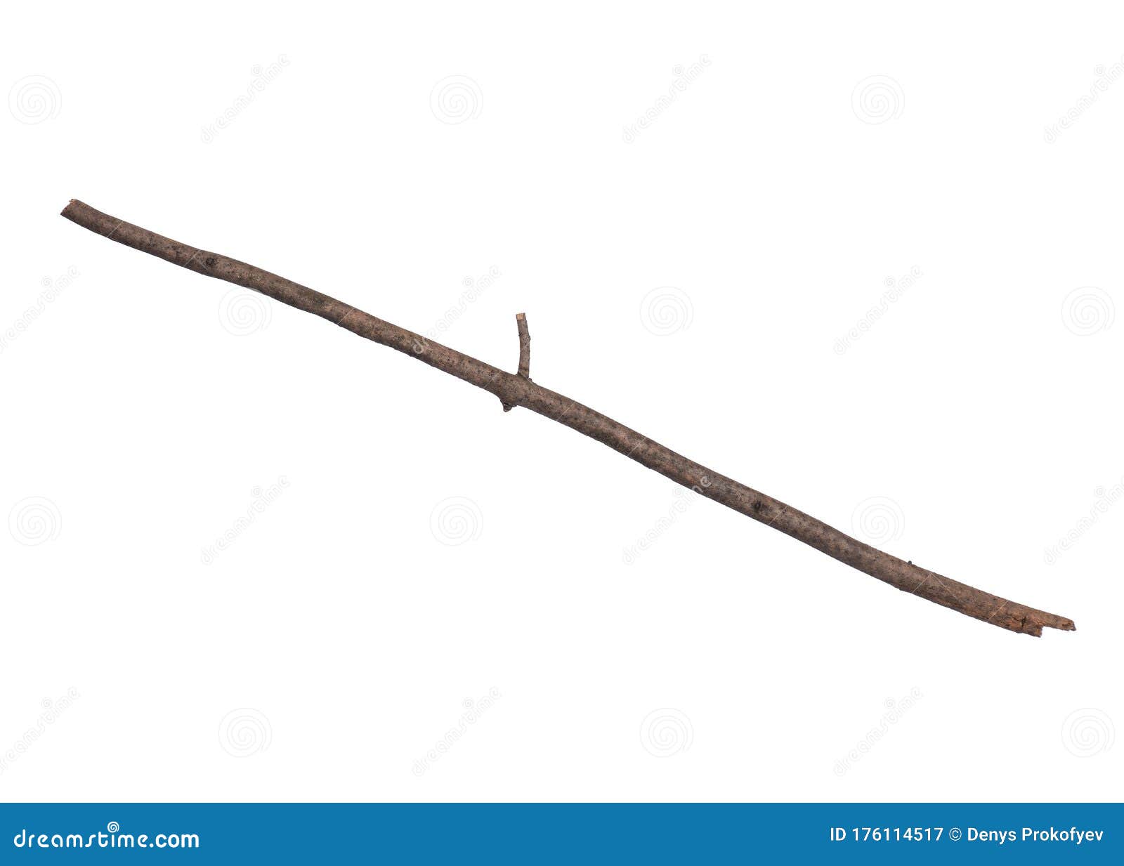 Dry tree branch on white stock image. Image of drought - 176114517 Dry tree branch on white stock image. Image of drought - 176114517