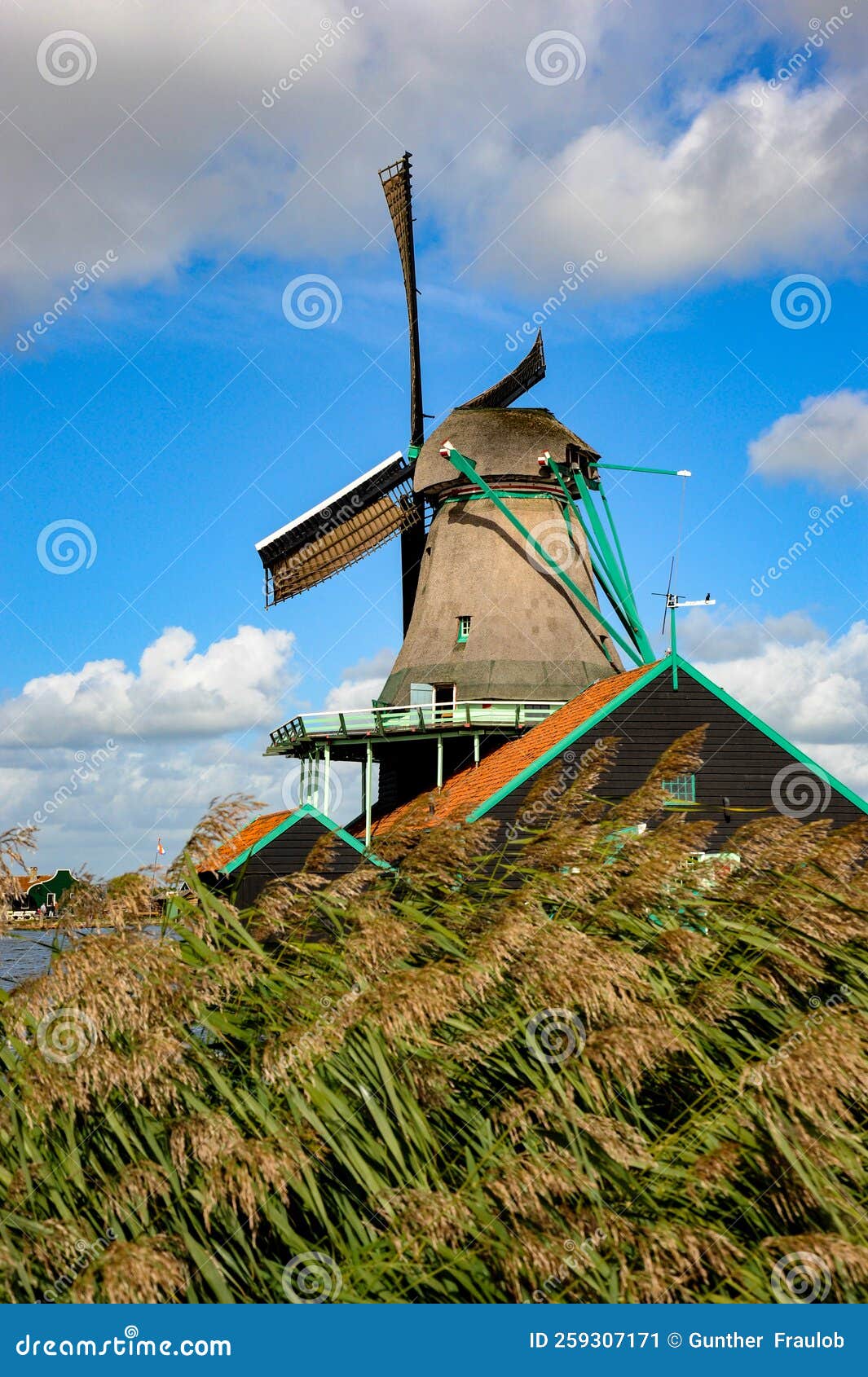 Single Dutch Windmill with Beautiful Puffy White Clouds in the ...