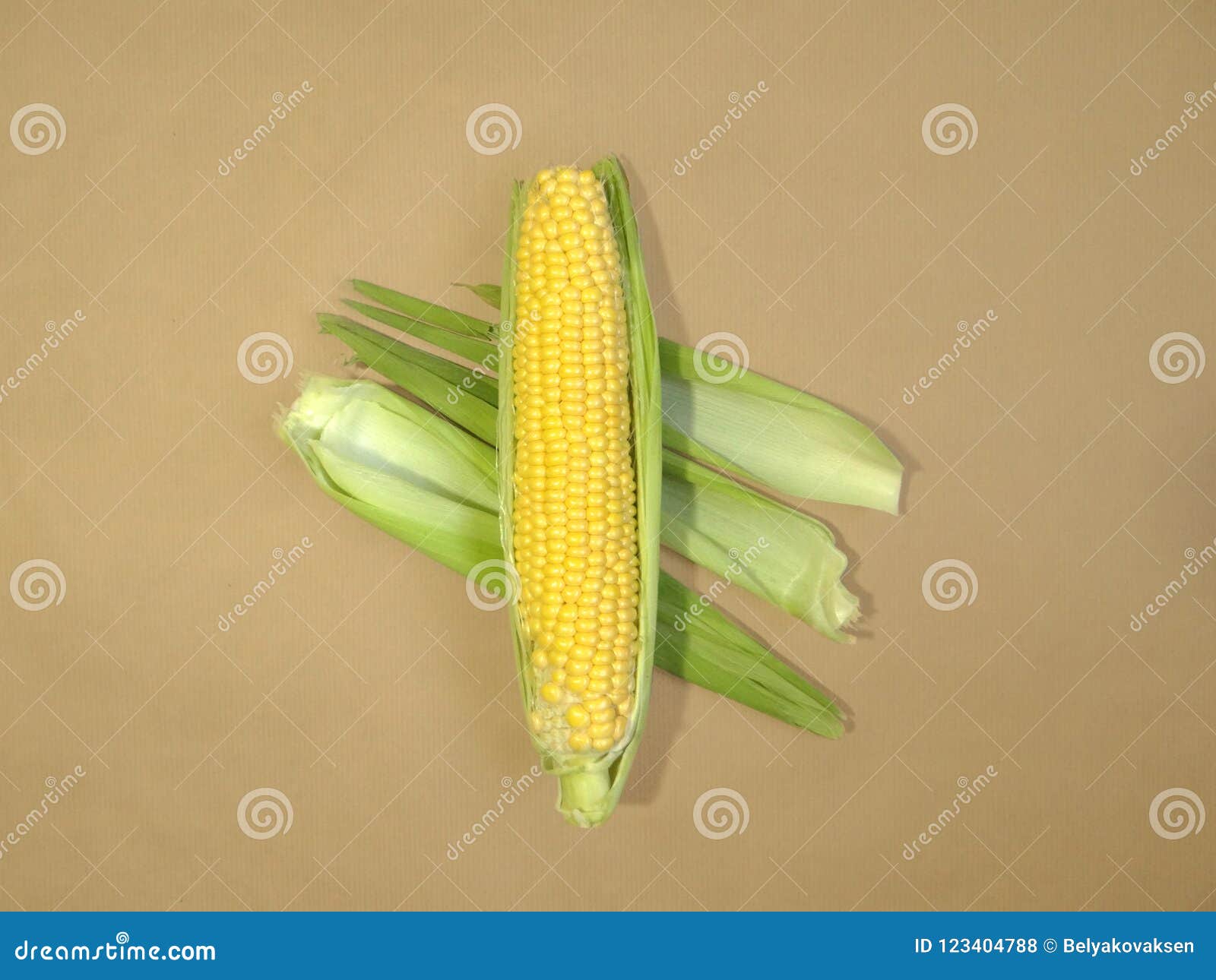 Single Ear of Corn with Leaves Stock Photo - Image of food, maize ...