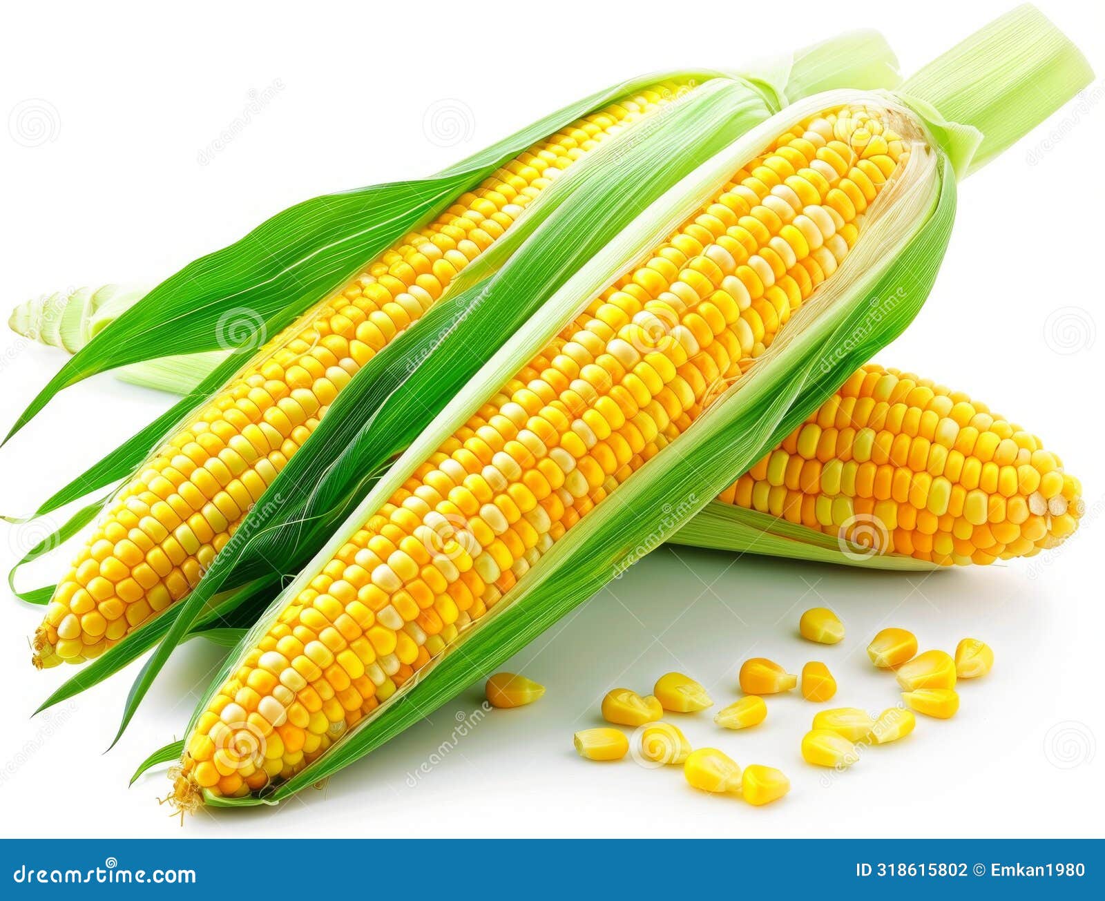 A Single Ear of Corn with Leaves Isolated on Background Stock Photo ...