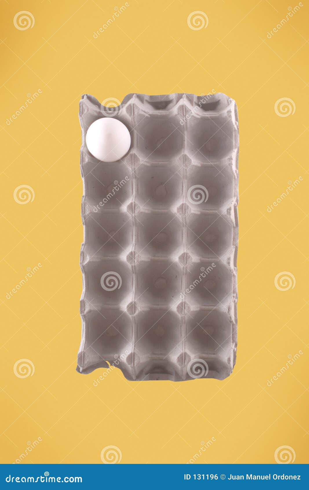 Single egg stock photo. Image of full, yellow, dinner, chicken - 131196