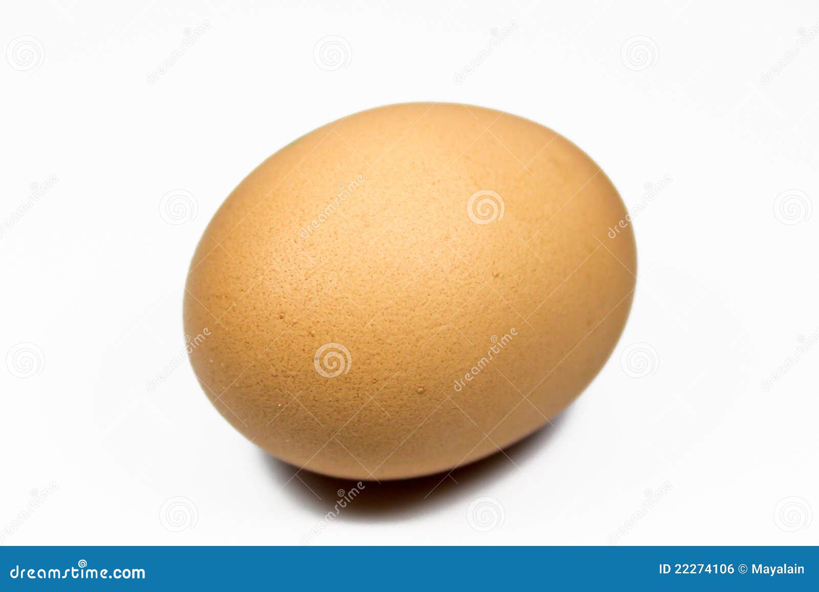 Single egg stock photo. Image of isolated, metaphor, clear - 22274106