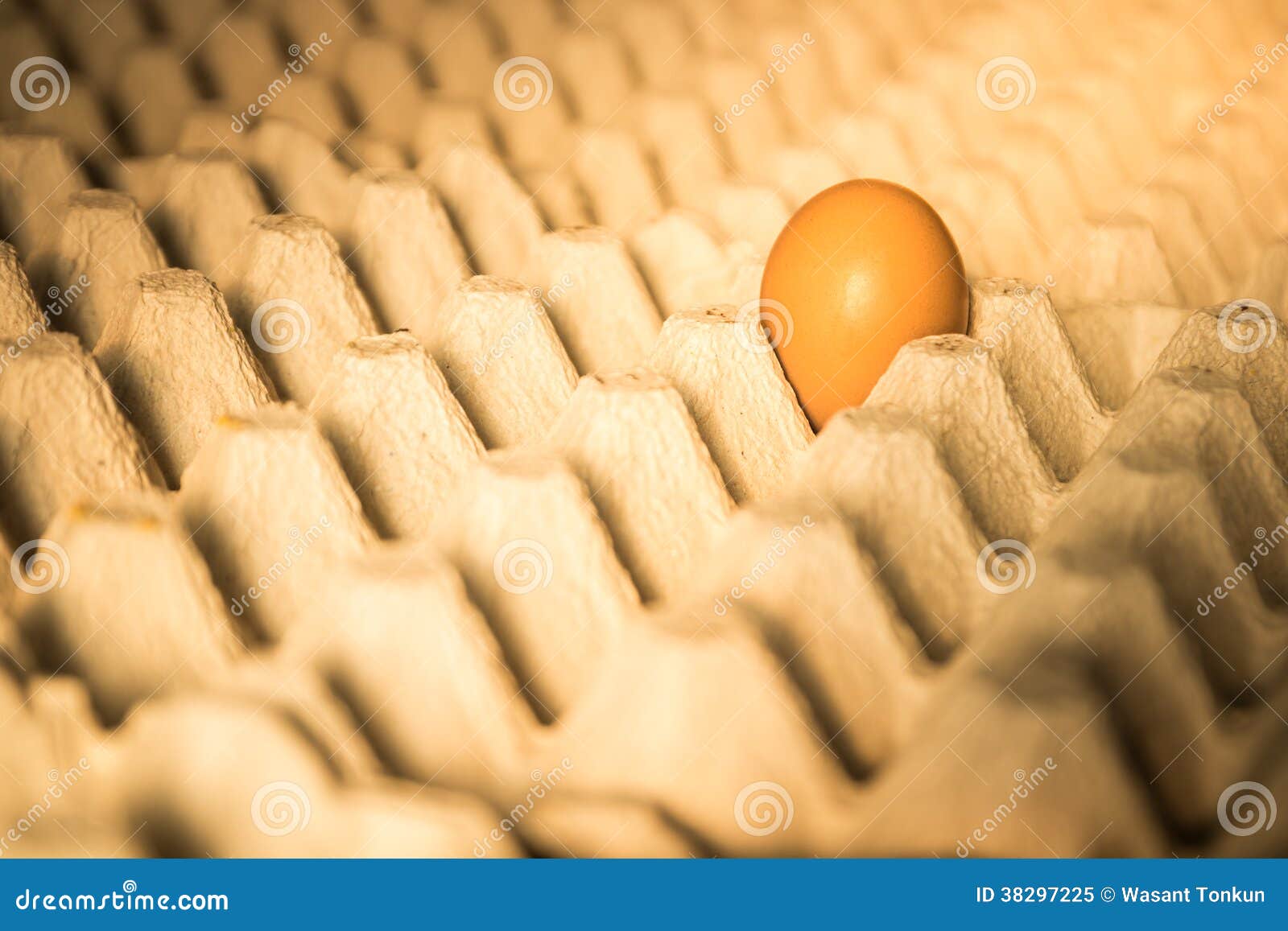 Single Egg stock image. Image of container, bunch, danger - 38297225