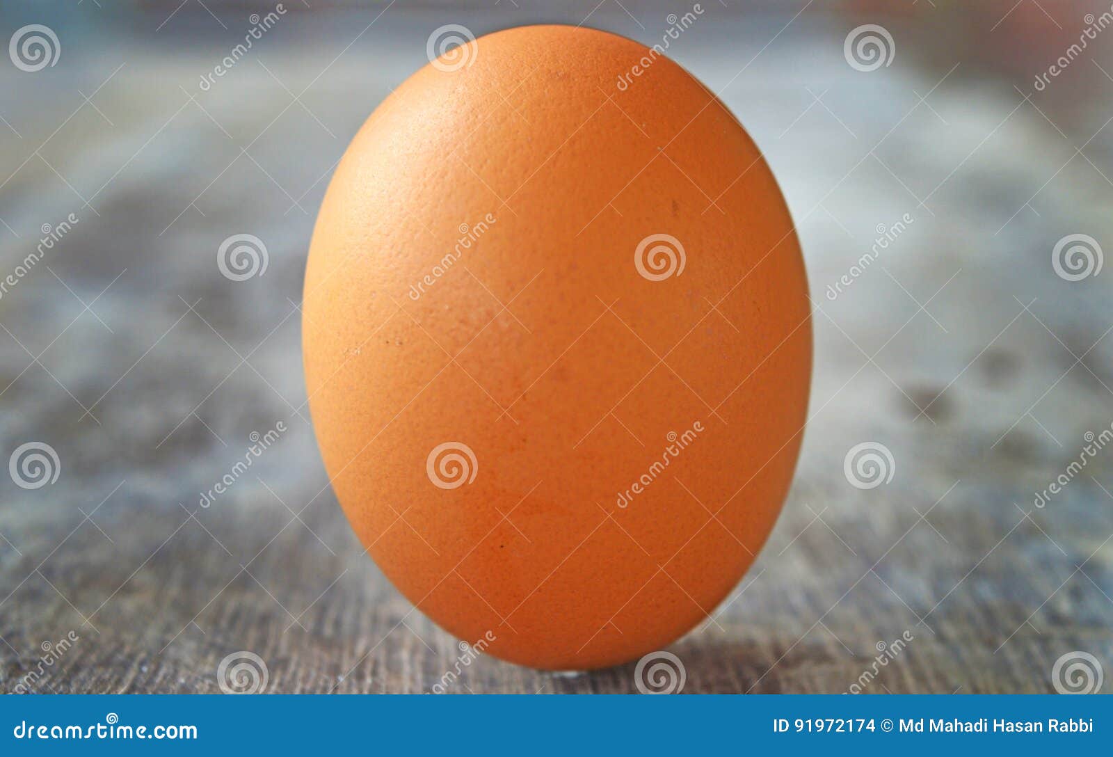 Single Egg stock photo. Image of close, agriculture, diet - 91972174