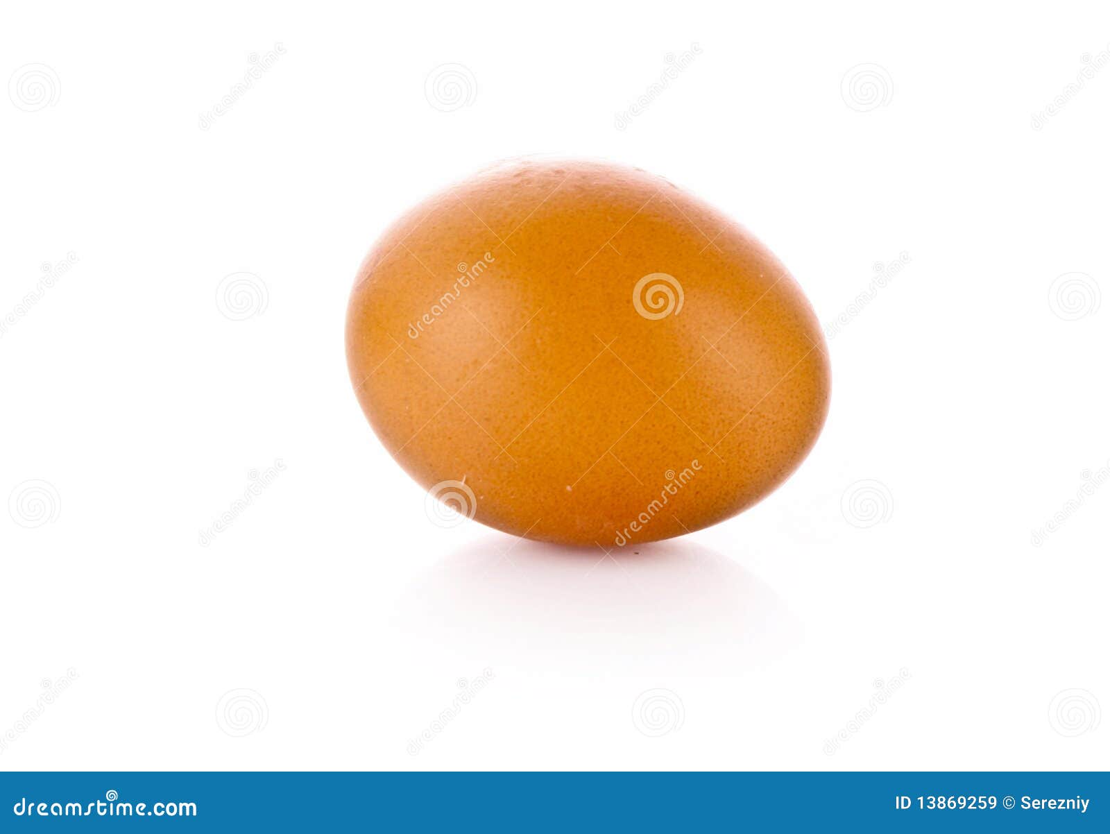 Single egg isolated stock image. Image of spring, easter - 13869259