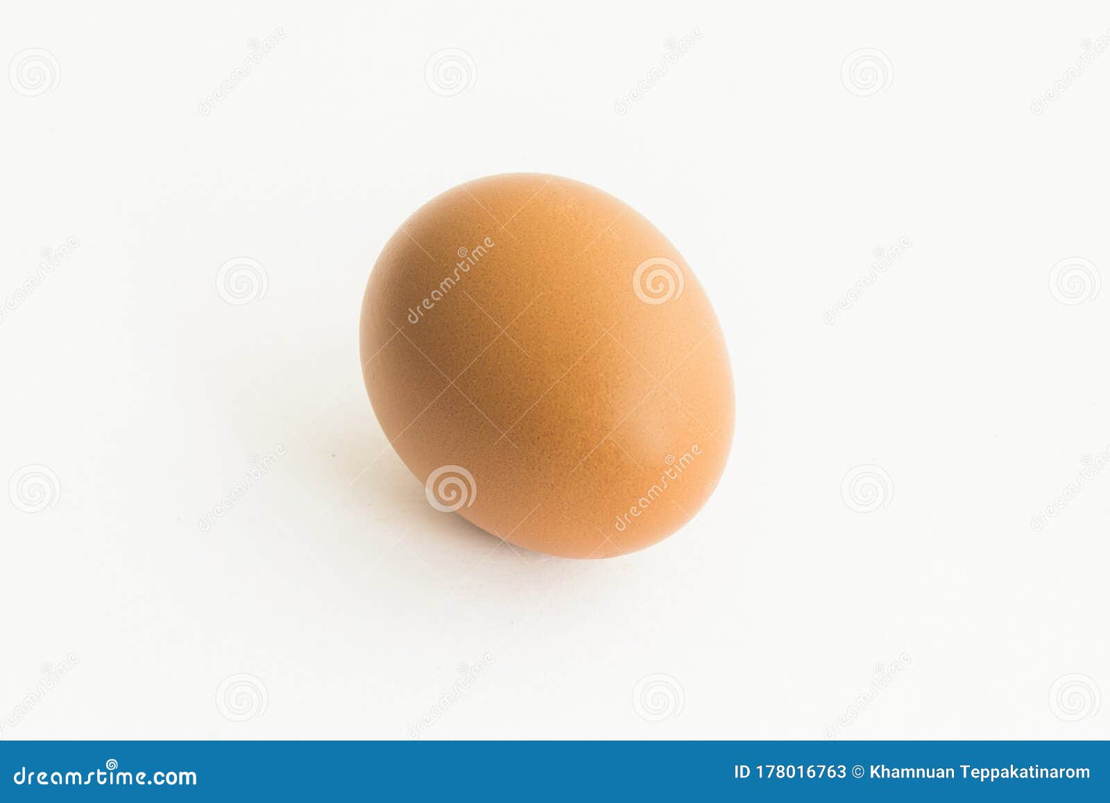 The Single Egg on the Isolated Background Stock Image - Image of ...