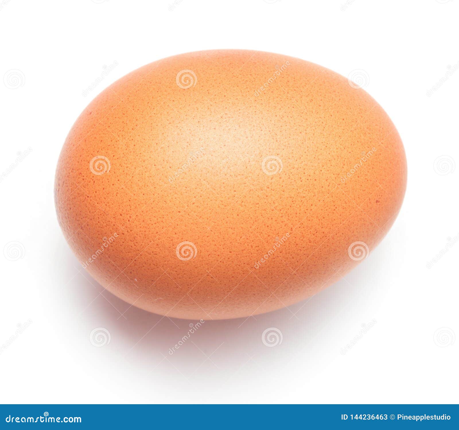 Single egg isolated stock image. Image of shell, disjunct - 144236463