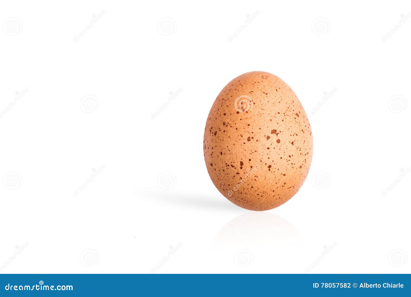 Single Egg Isolated on White Background Stock Photo - Image of jute ...