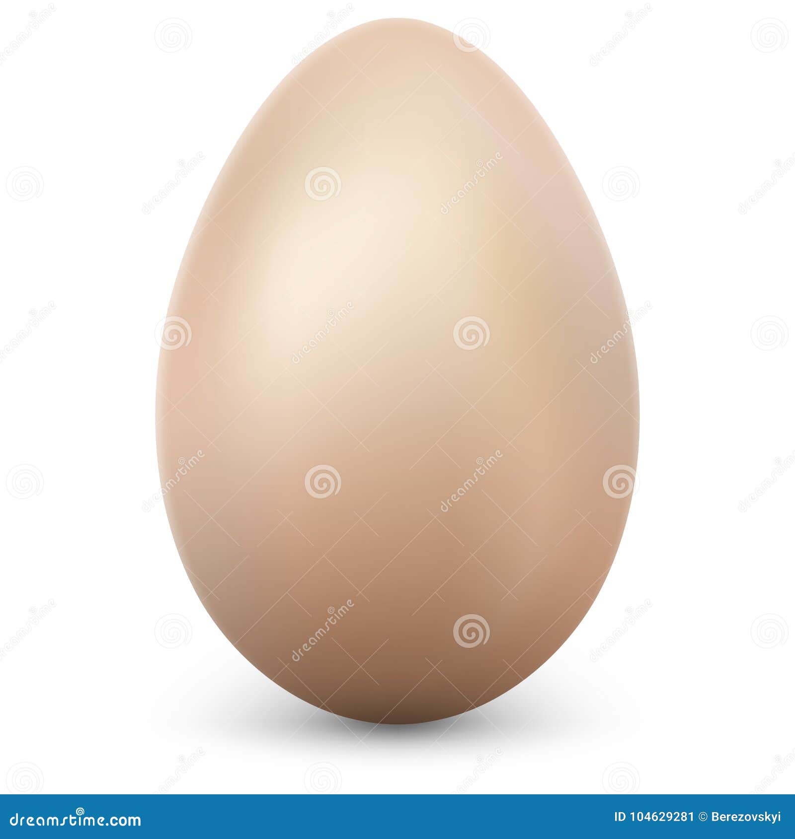Single Egg Isolated on White Background with Transparent Shadow. EPS 10 ...